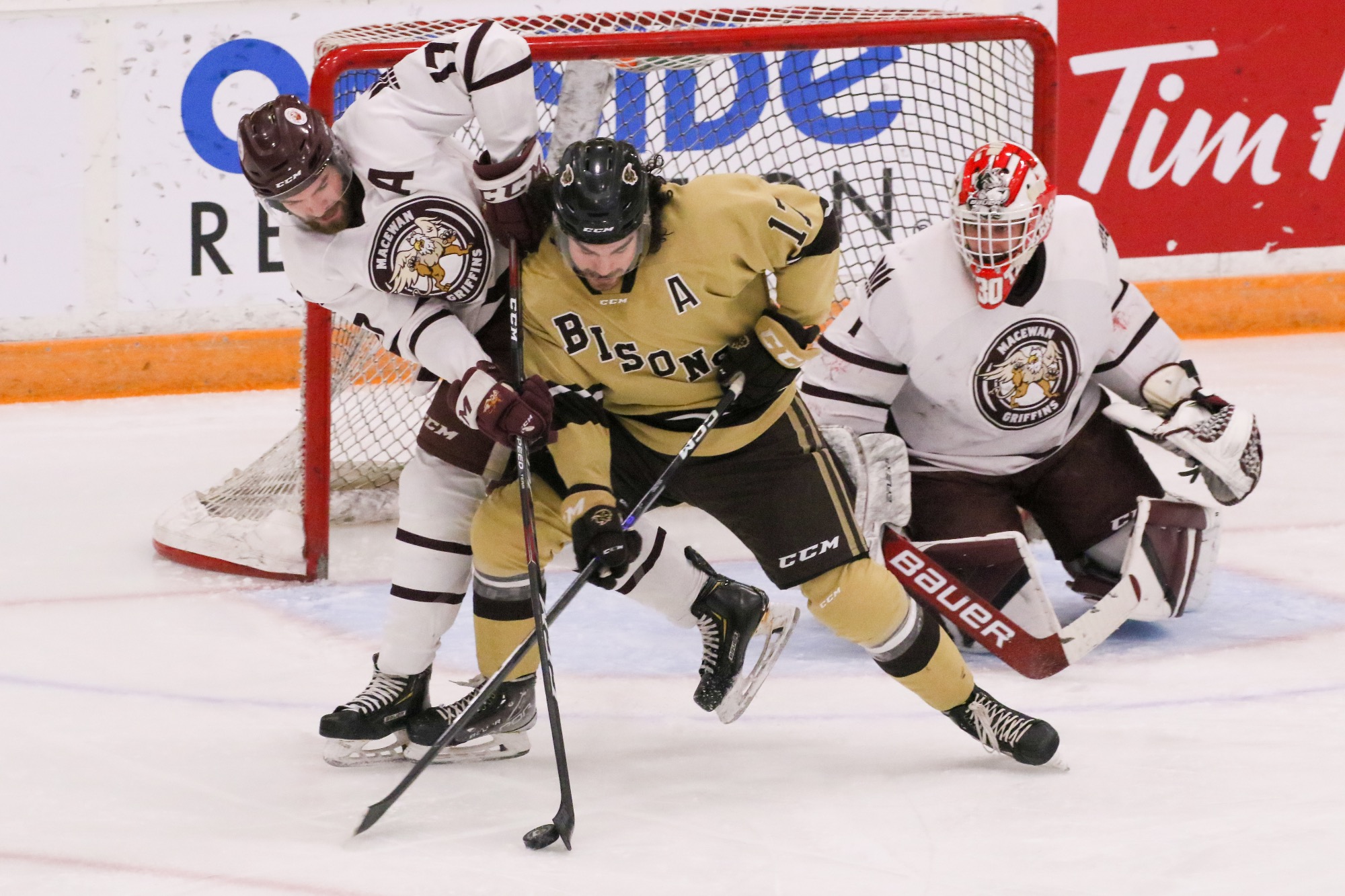 MHKY: Bisons score seven in second straight, sweep MacEwan - University ...