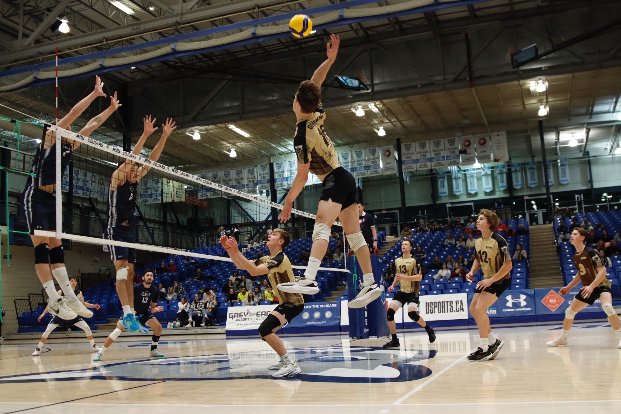 MVB: Cougars out-last Bisons in three-set thriller - University of ...