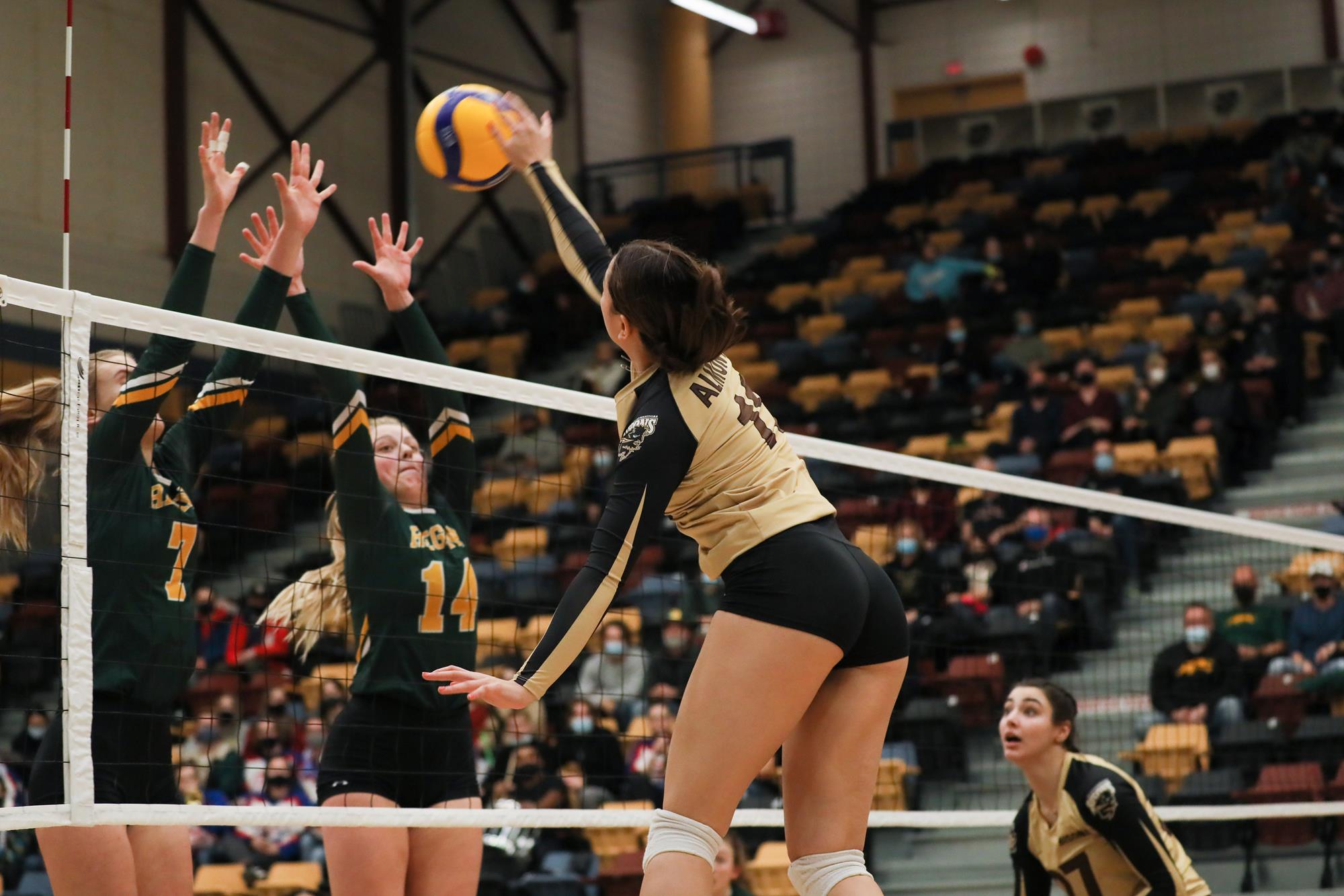 Bisons beat Cougars in four to finish sweep - University of Manitoba ...