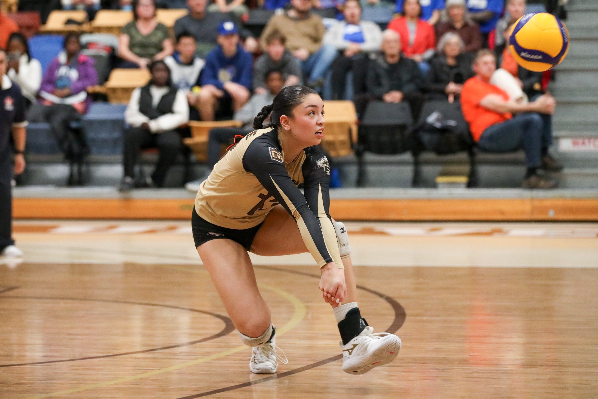'Foundational' Andi Almonte helps No. 8 nationally-ranked Bisons beat ...