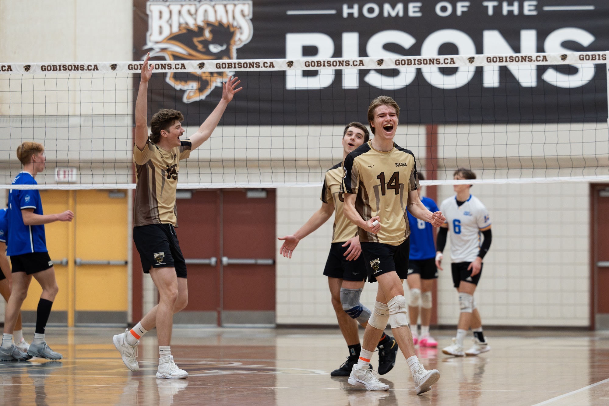 MVB: Bisons win fifth in a row, improve to 8-4 with 3-1 win over UBCO ...