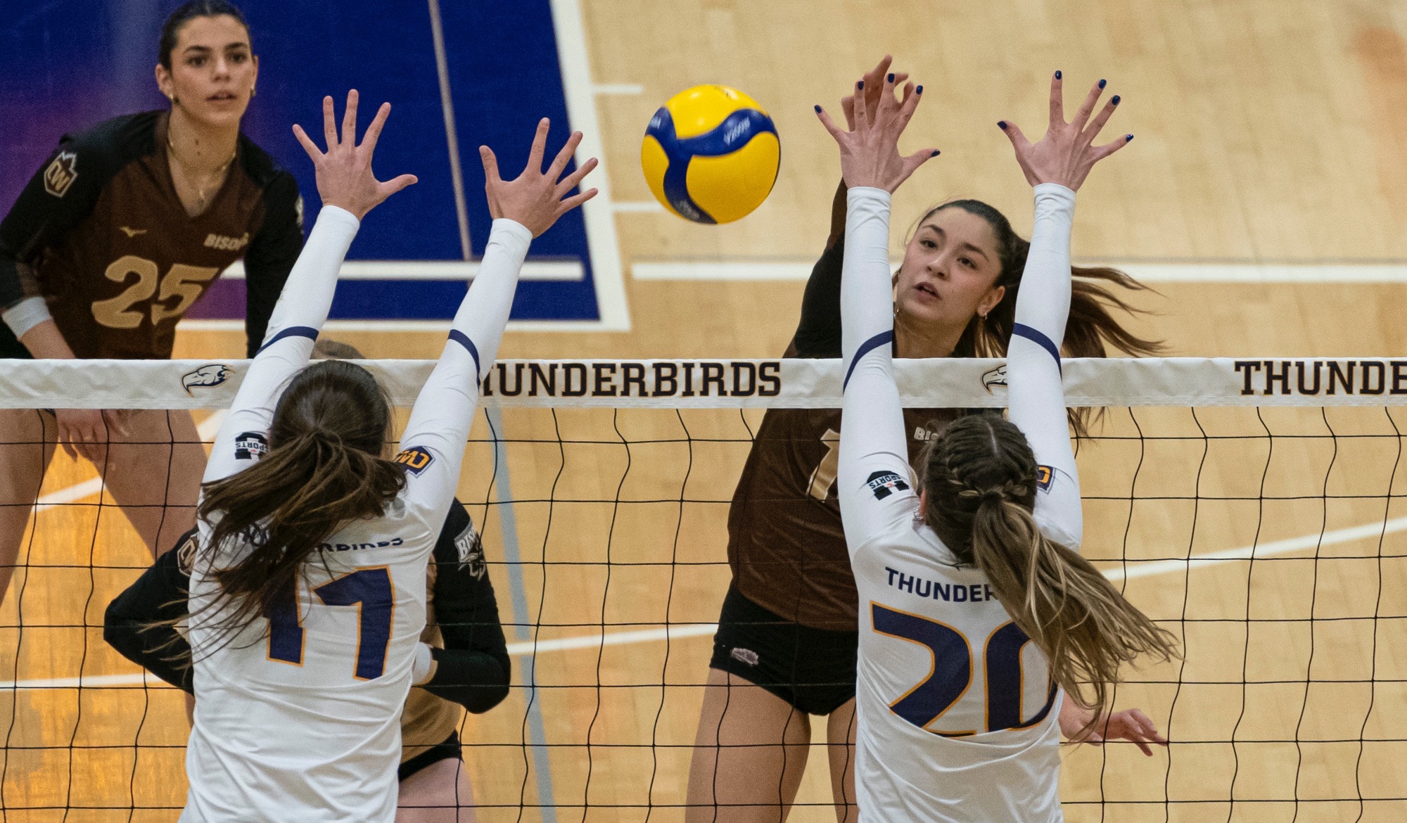 WVB: Bisons take down UBC in game one of quarterfinals, 3-2 ...