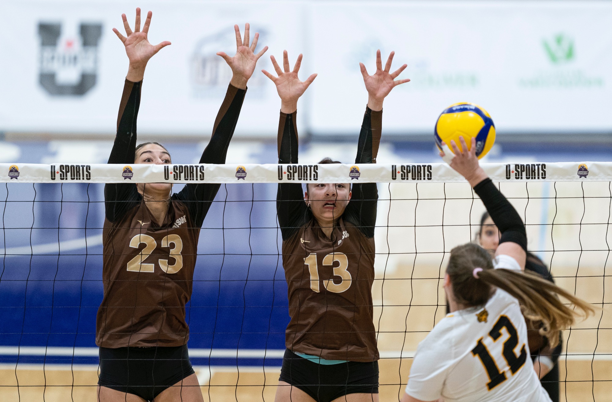 WVB: No. 5 Dalhousie wins five-set marathon over No . 6 Manitoba for ...