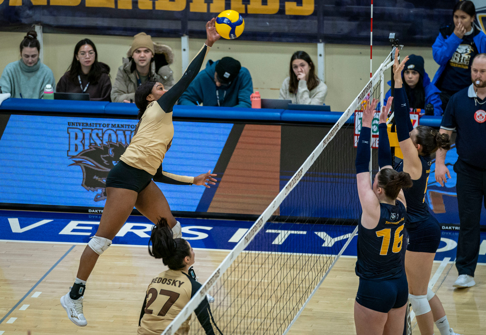 WVB: No. 4 ranked Bisons split weekend series with No. 1 UBC, improve ...