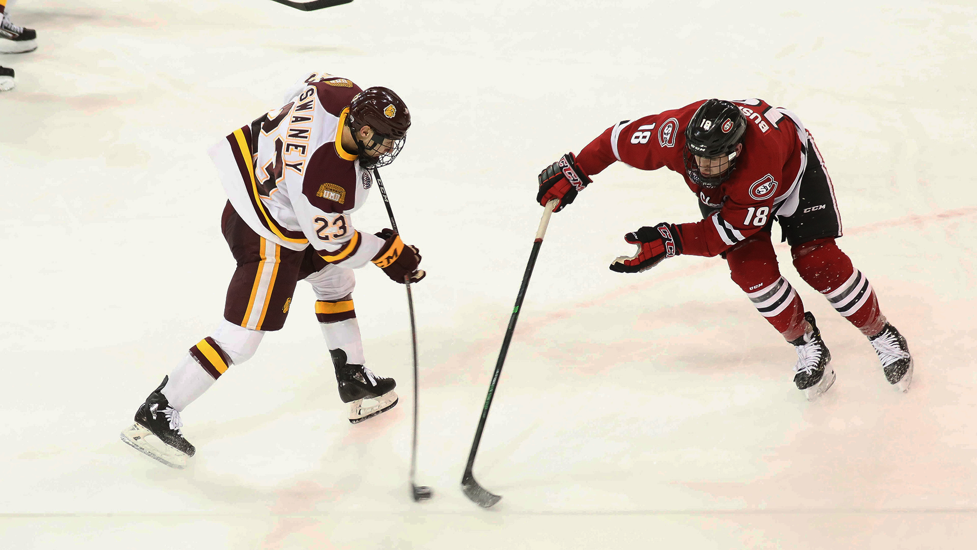 Nick Swaney - Men's Hockey - UMD Athletics