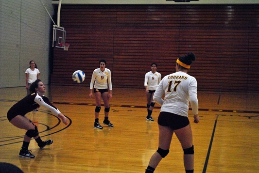 Kaylie Clark - Women's Volleyball - University of Minnesota Morris ...