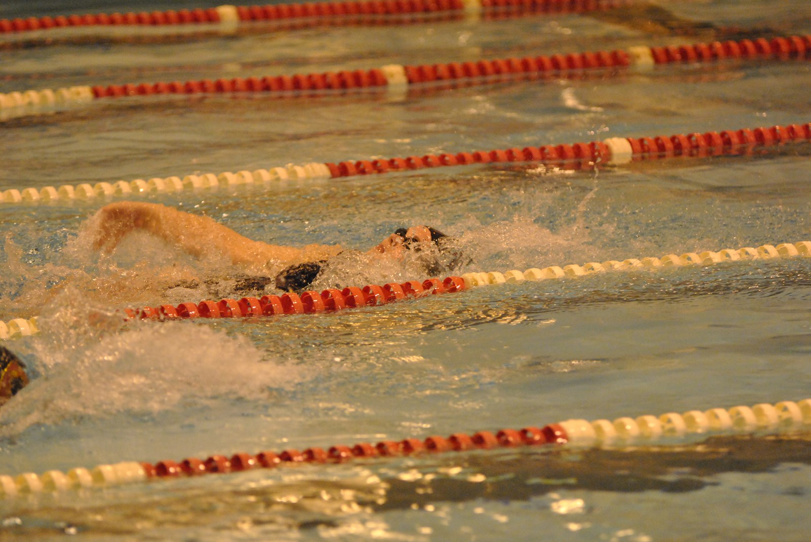 Jillian Burns - Women's Swimming and Diving - University of Minnesota ...