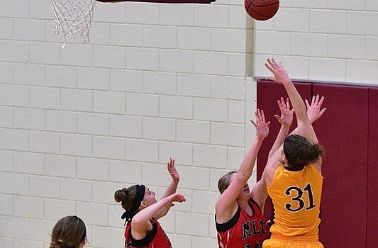 Tori Holt - Women's Basketball - University of Minnesota Morris Athletics