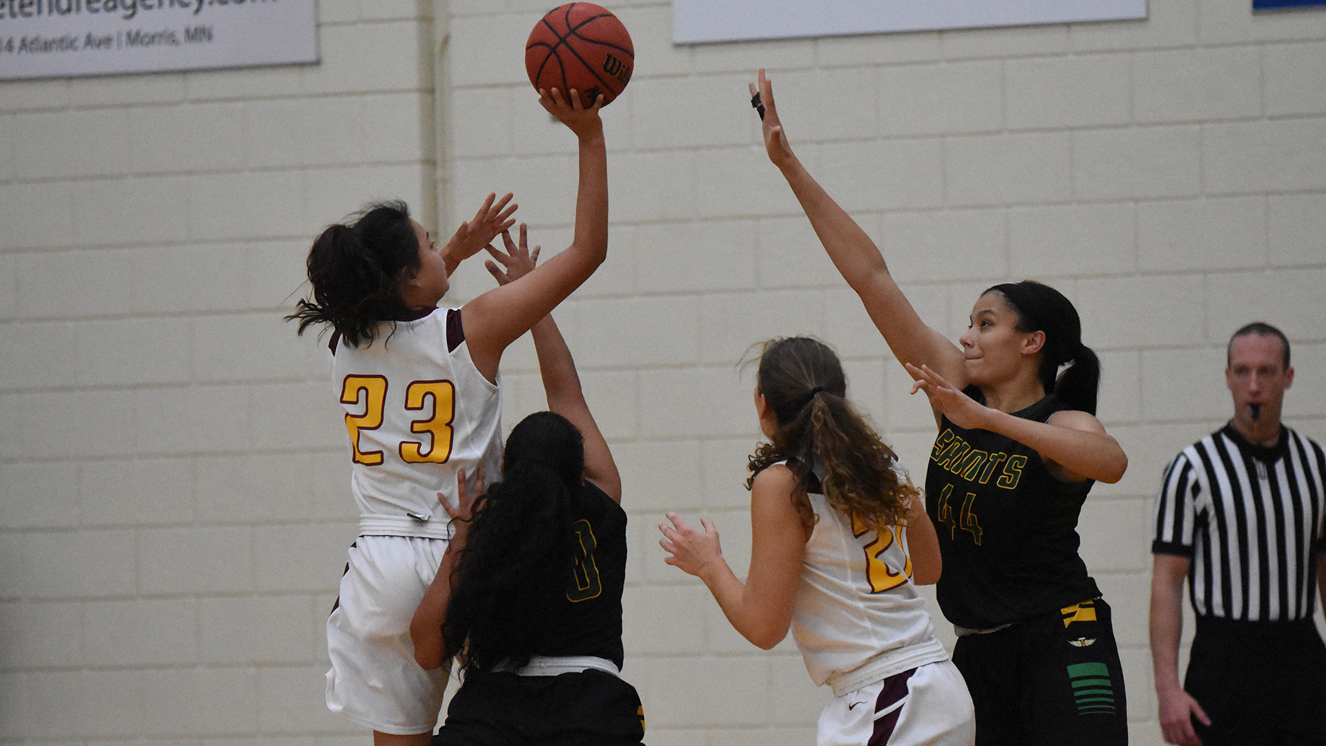 Lexus Eagle Chasing - Women's Basketball - University of Minnesota ...