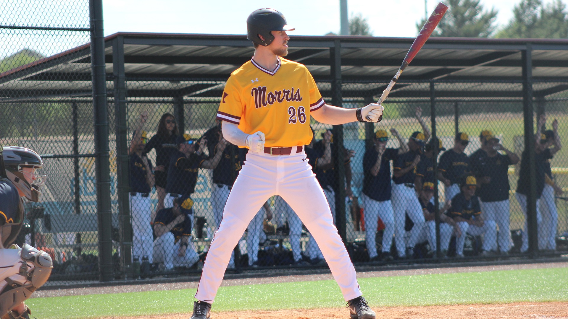Baseball Completes Sweep of North Central - University of Minnesota ...
