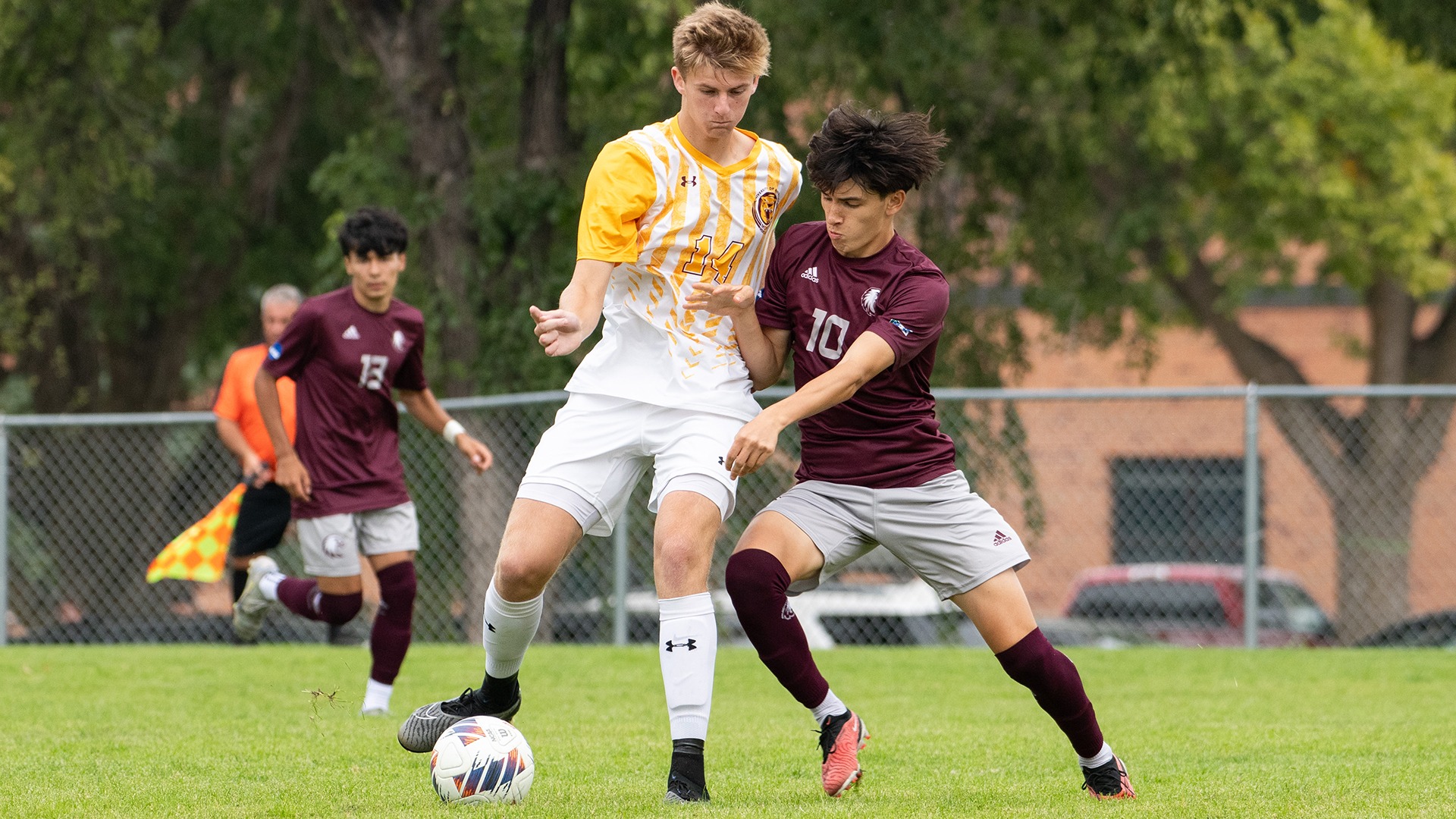 Cougars Score Late to Tie with LumberJacks - University of Minnesota ...