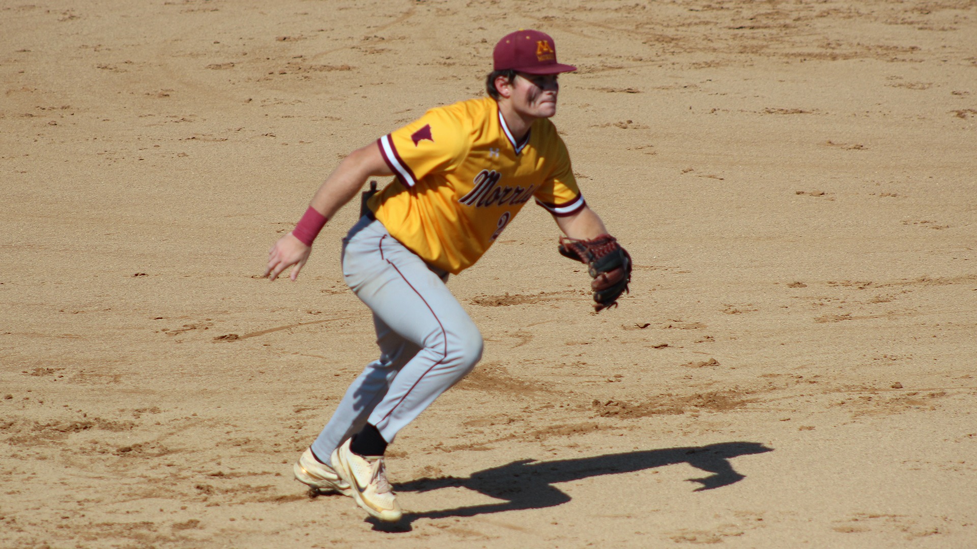 Baseball Splits Doubleheader with SUNY Oneonta - University of ...