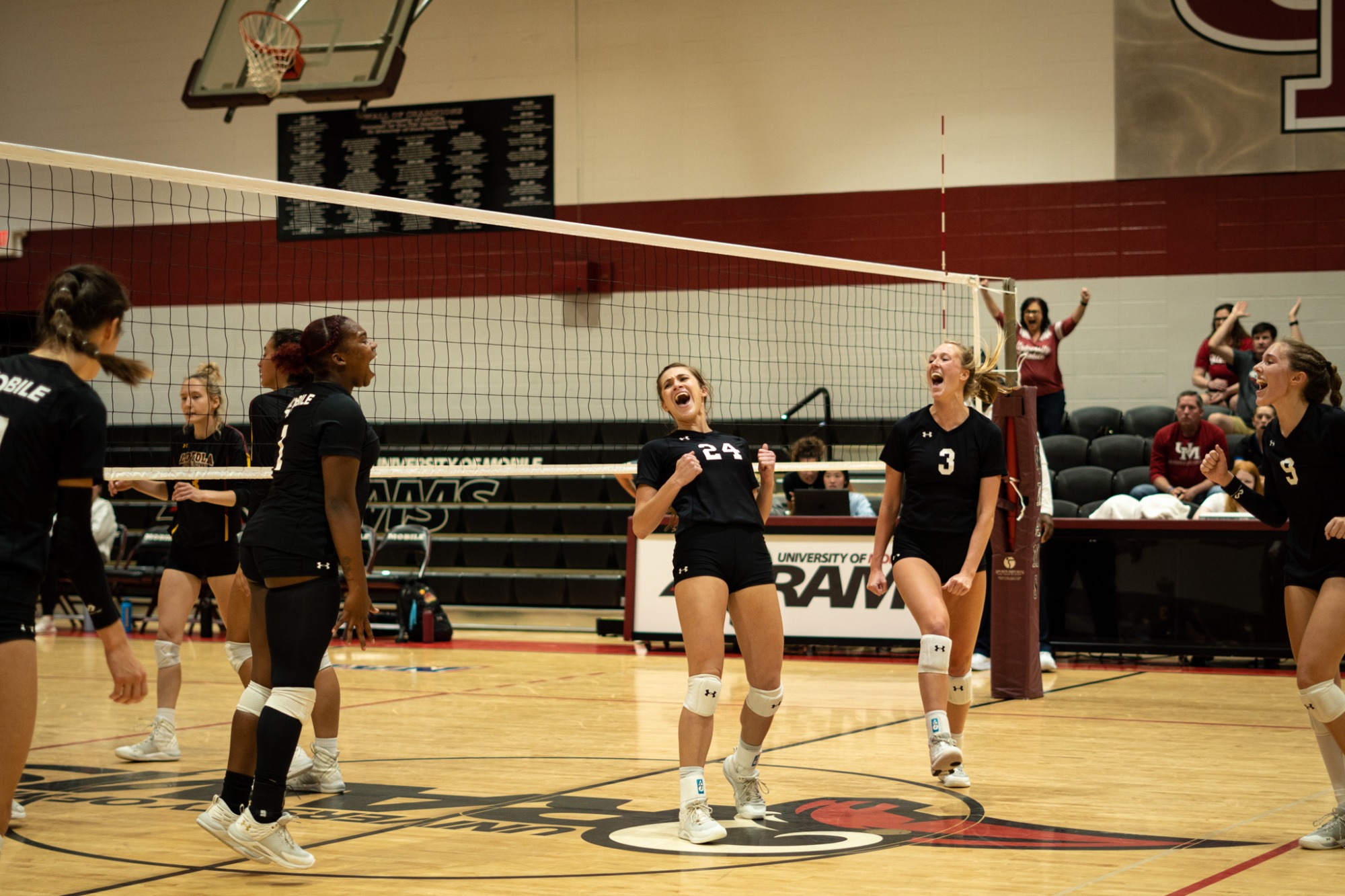 UM Volleyball Manages Another Sweep on Saturday, Finishing the Weekend ...