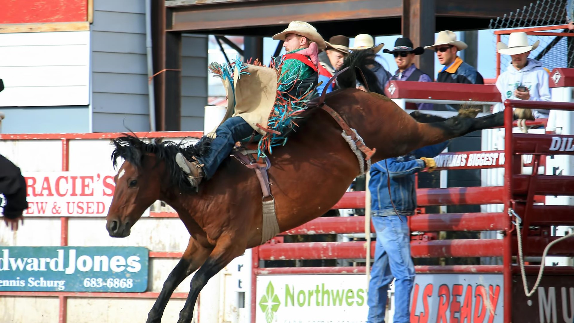 Tristan Hansen - Rodeo - Montana Western, University of