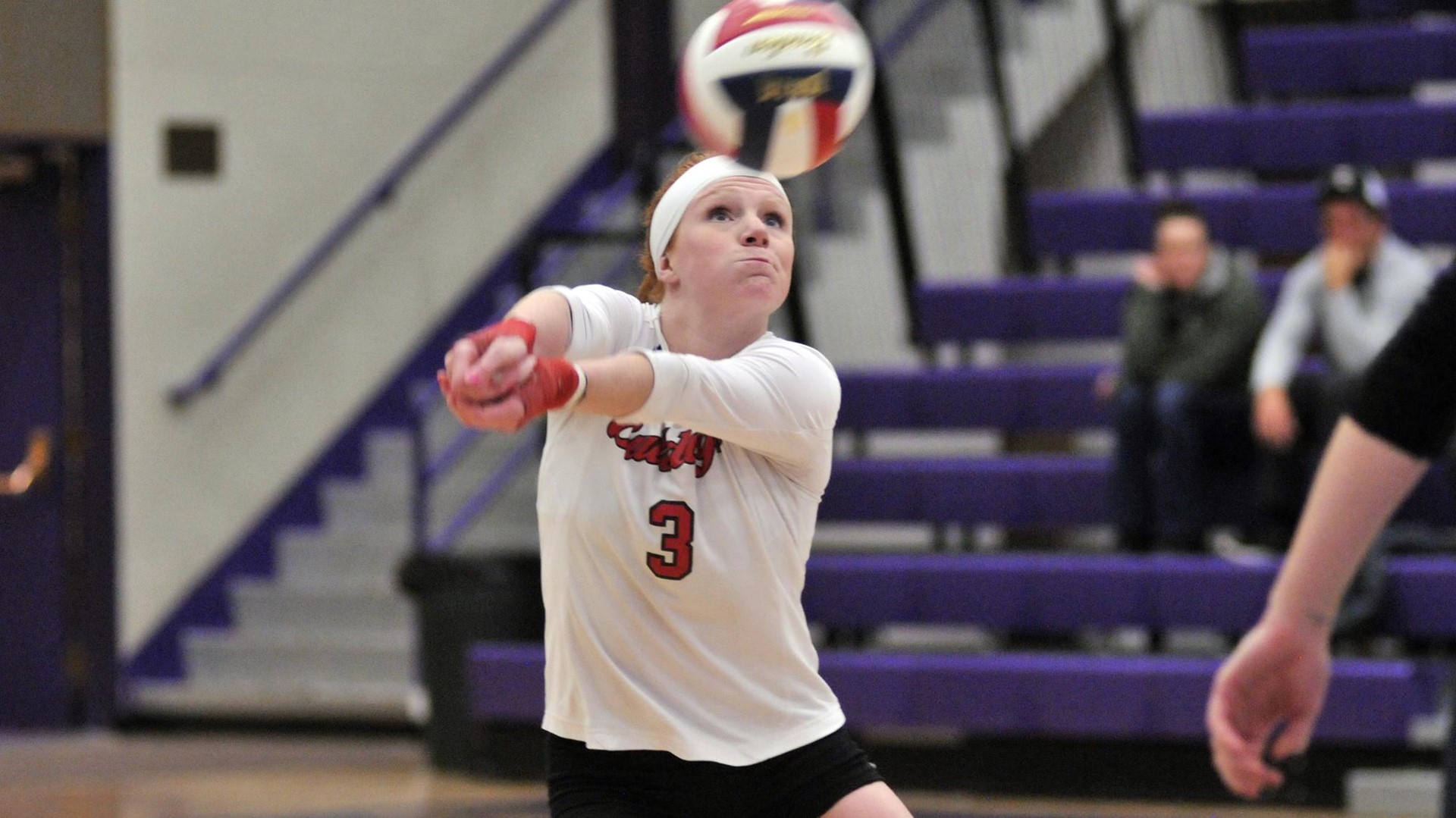 Dylan Fowler - Women's Volleyball - Montana Western, University of