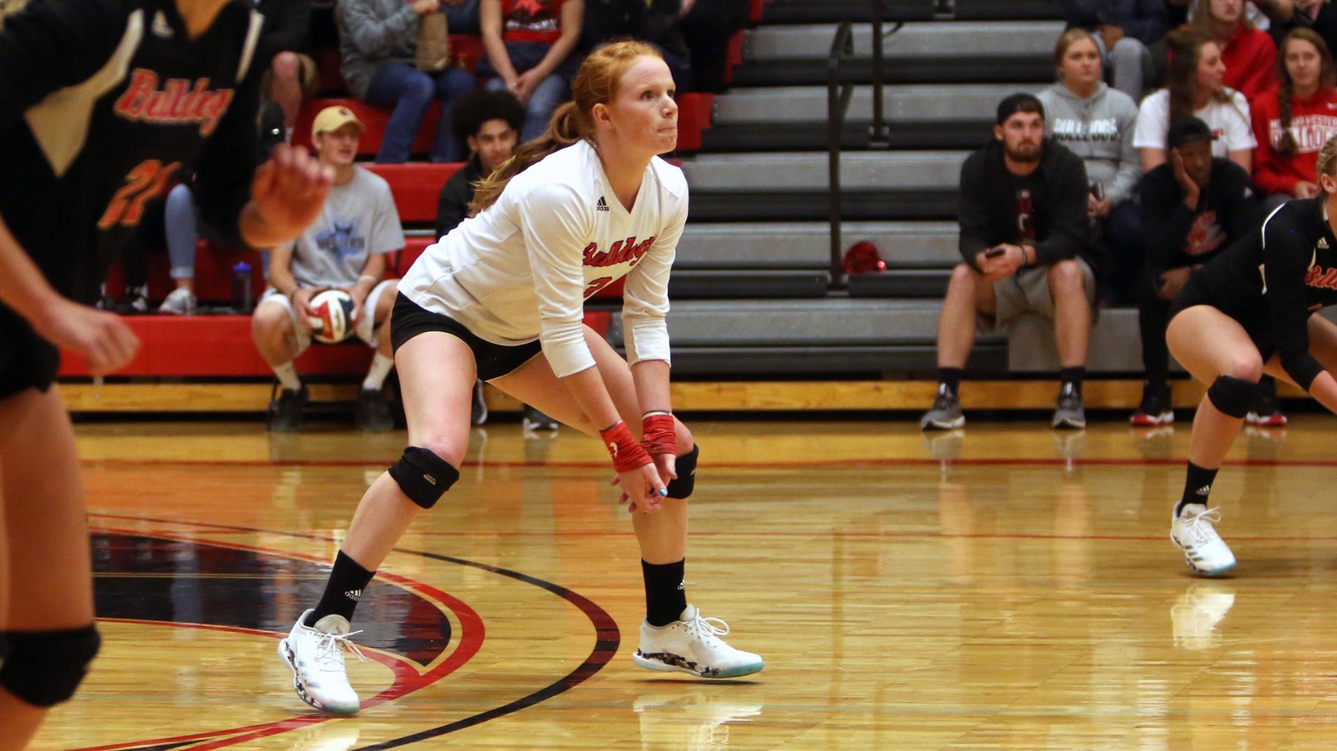 Dylan Fowler - Women's Volleyball - Montana Western, University of