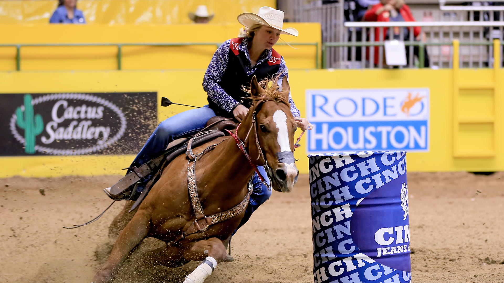 Anna Hasper - Rodeo - Montana Western, University of
