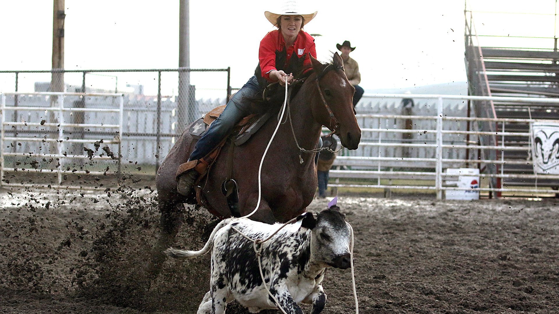 Breanna Jenkins - Rodeo - Montana Western, University of