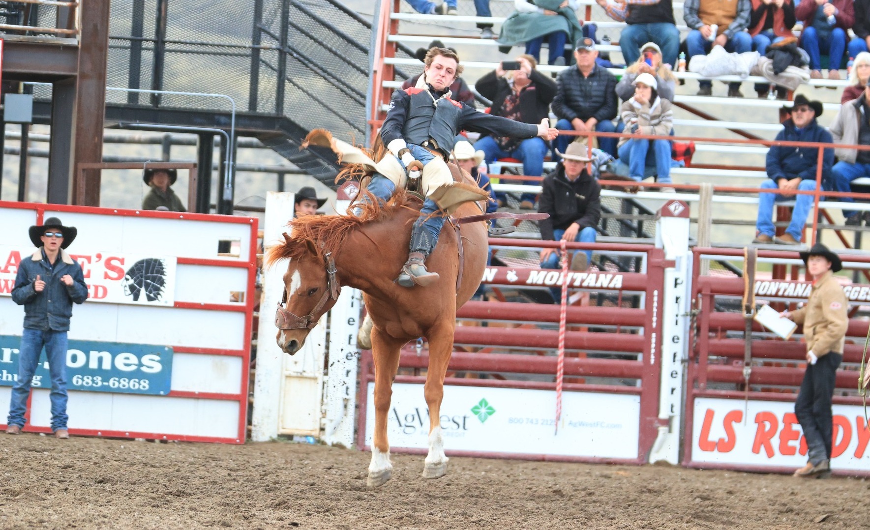 Bulldog Rodeo Has Strong Fall Season, Numerous Bulldogs in Regional ...