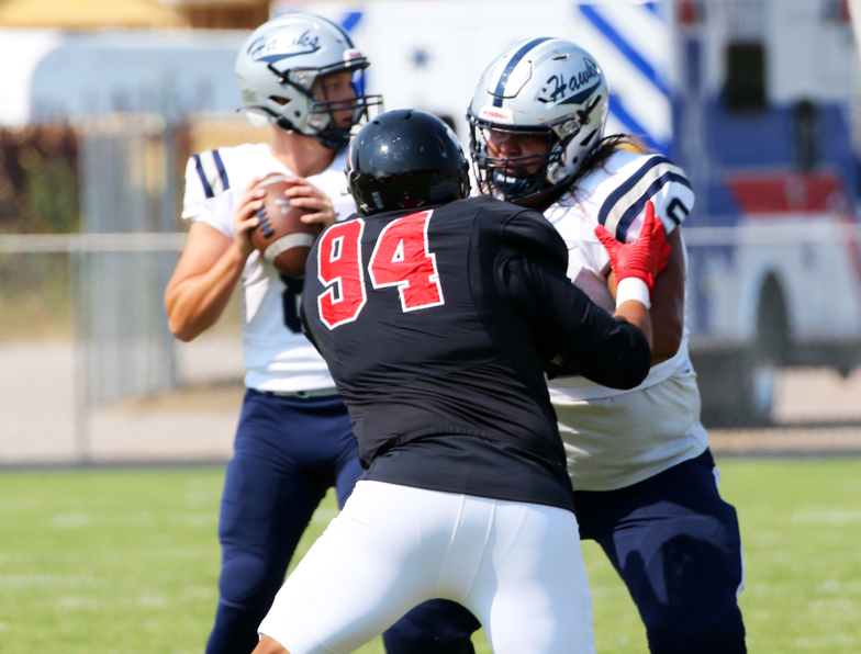 Brandon Aimsback - Football - Montana Western, University of