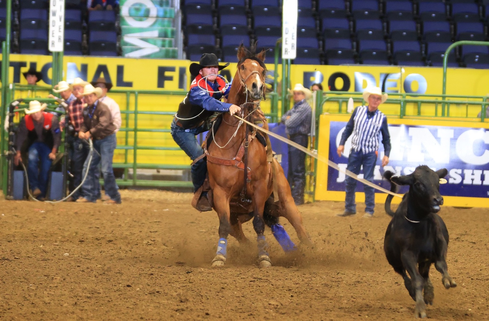 Bulldogs Finish Season at College National Finals Rodeo - Montana ...
