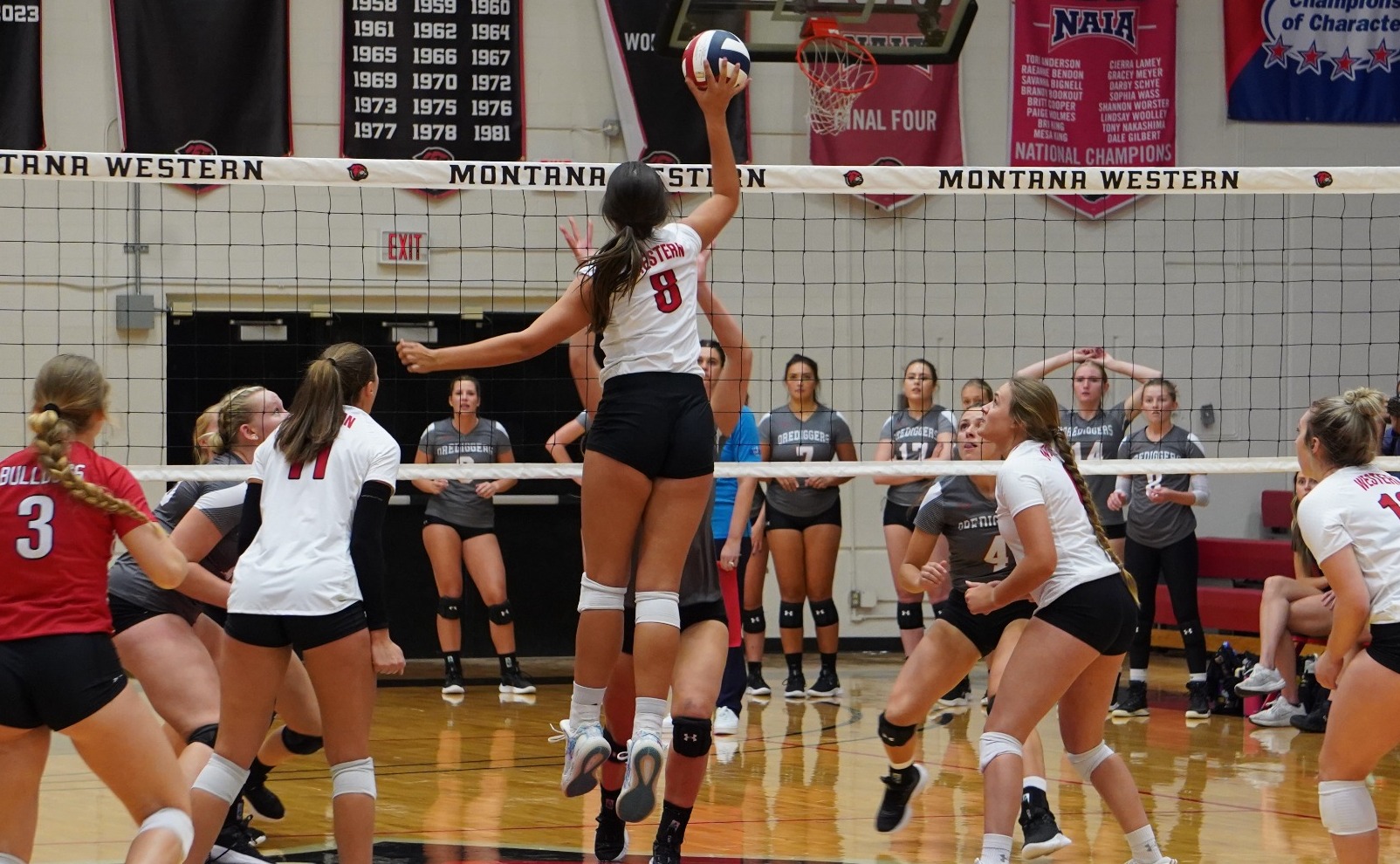 Bulldog Volleyball Falls in Five Set Thriller to No. 11 Montana Tech - Montana Western ...