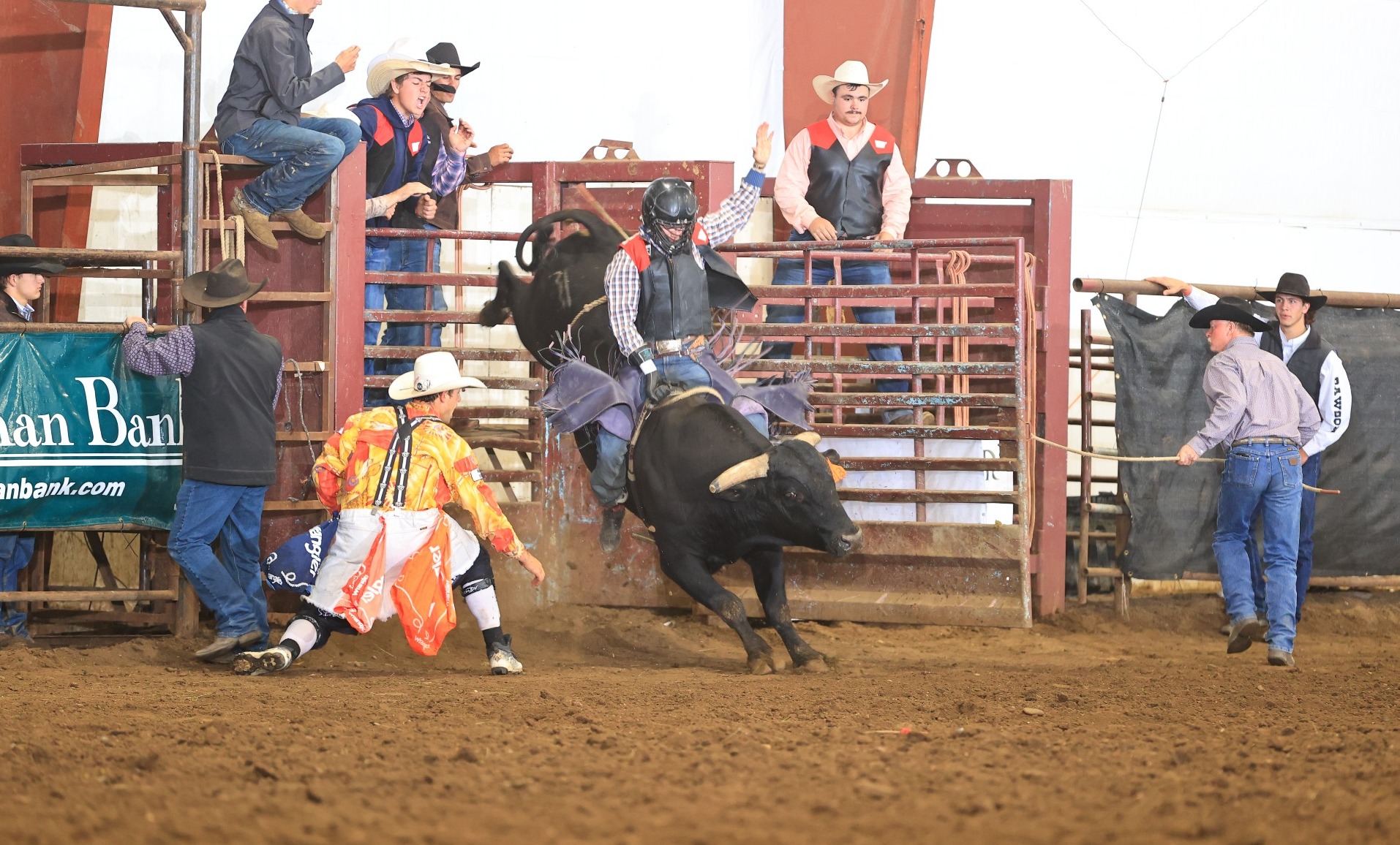 Bulldog Men Claim MSU-Northern Rodeo Title in First Event, Women Finish ...