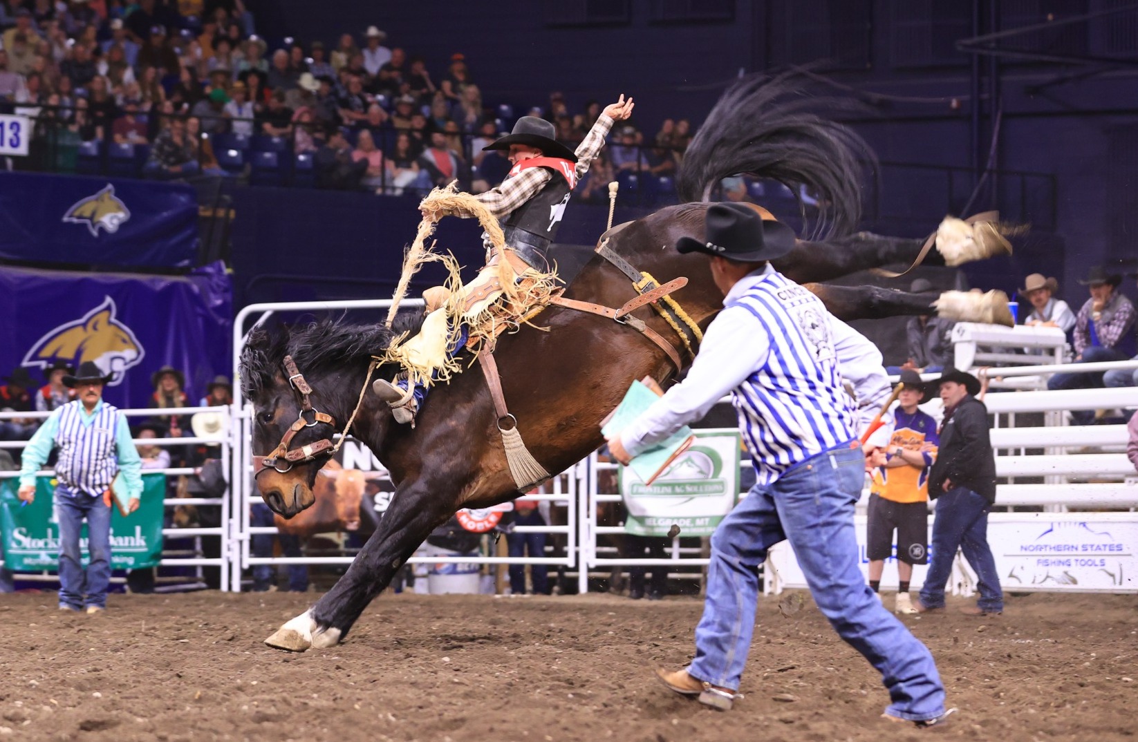 Bulldog Men and Women Both Finish Second in Pair of MSU Spring Rodeos ...