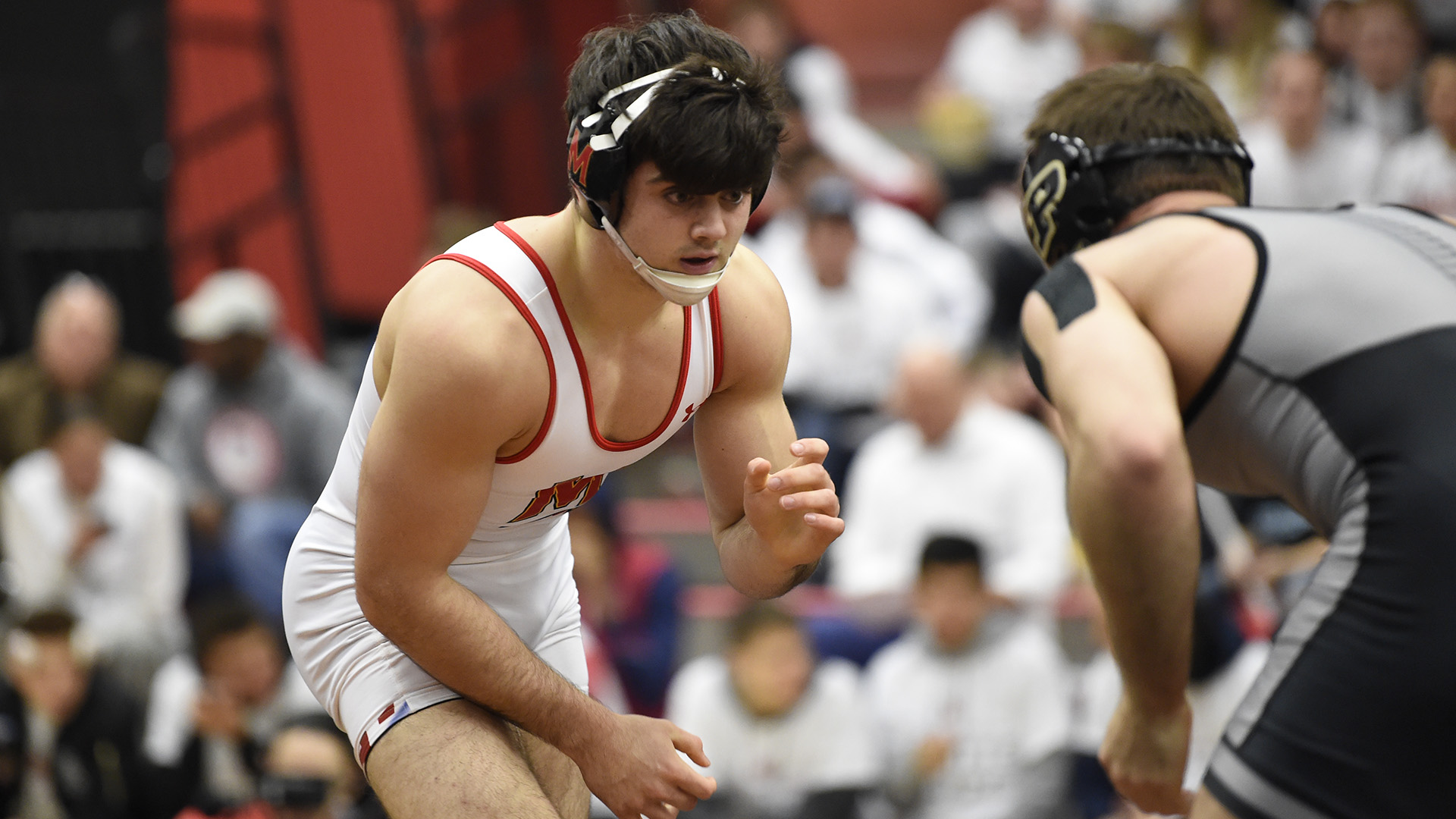 Philip Spadafora - Wrestling - University of Maryland Athletics