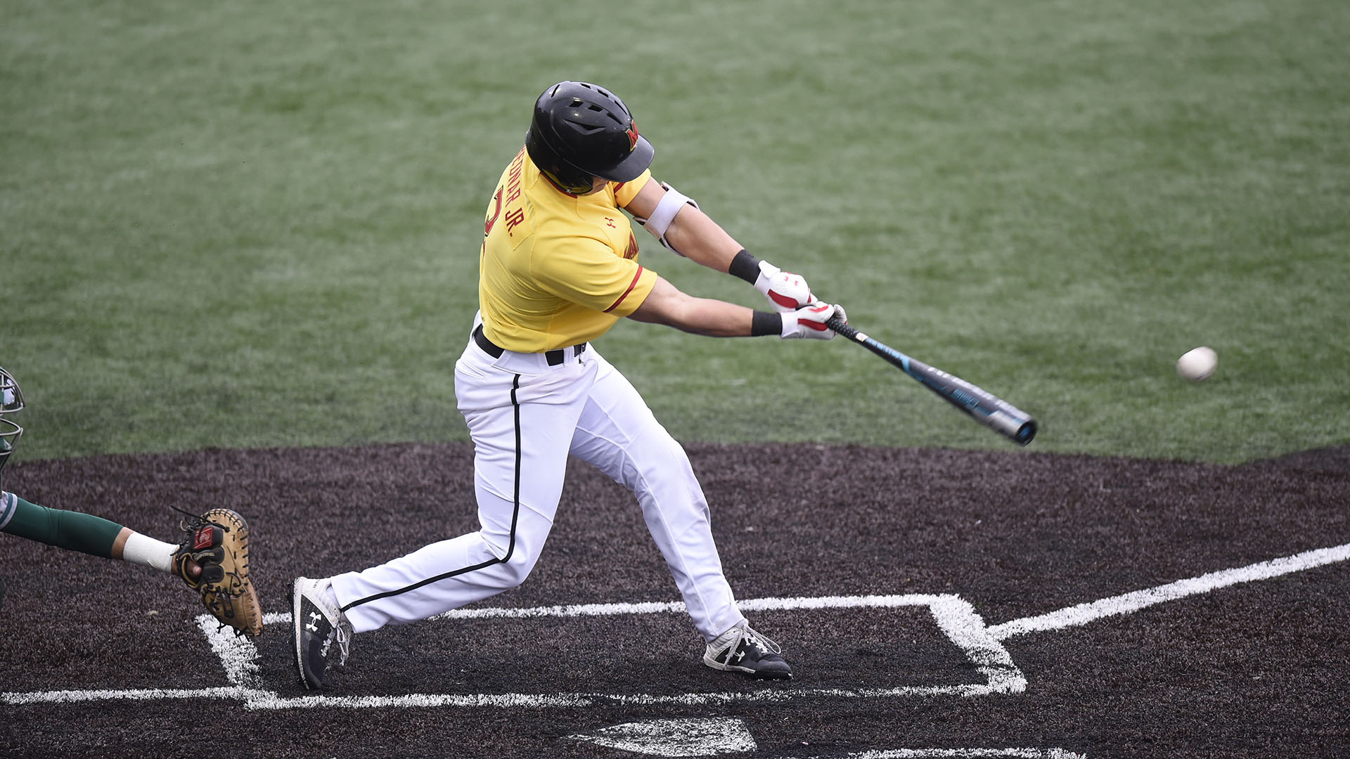 Randy Bednar - Baseball - University of Maryland Athletics