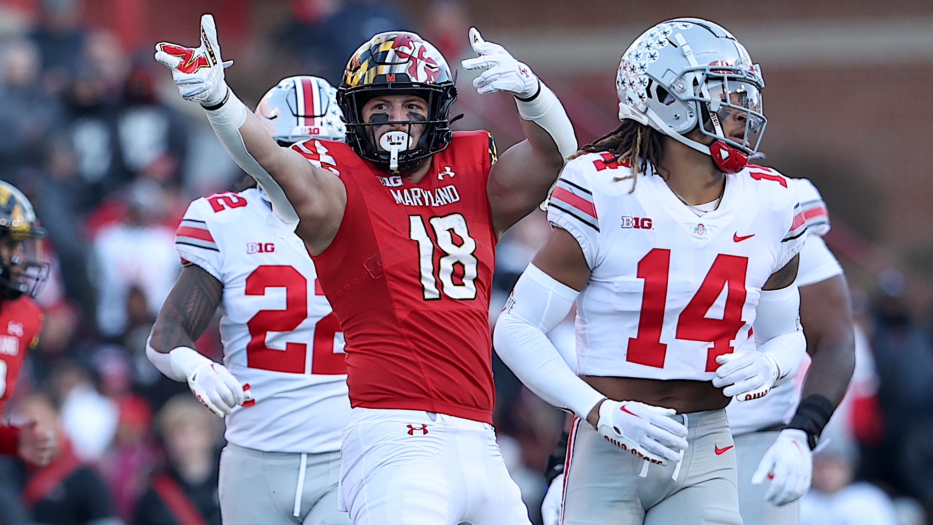 CJ Dippre - Football - University of Maryland Athletics