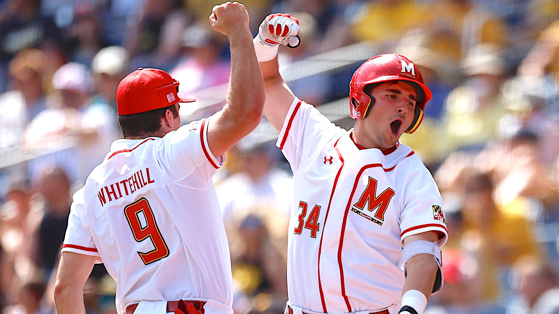 Nick Lorusso - Baseball - University of Maryland Athletics