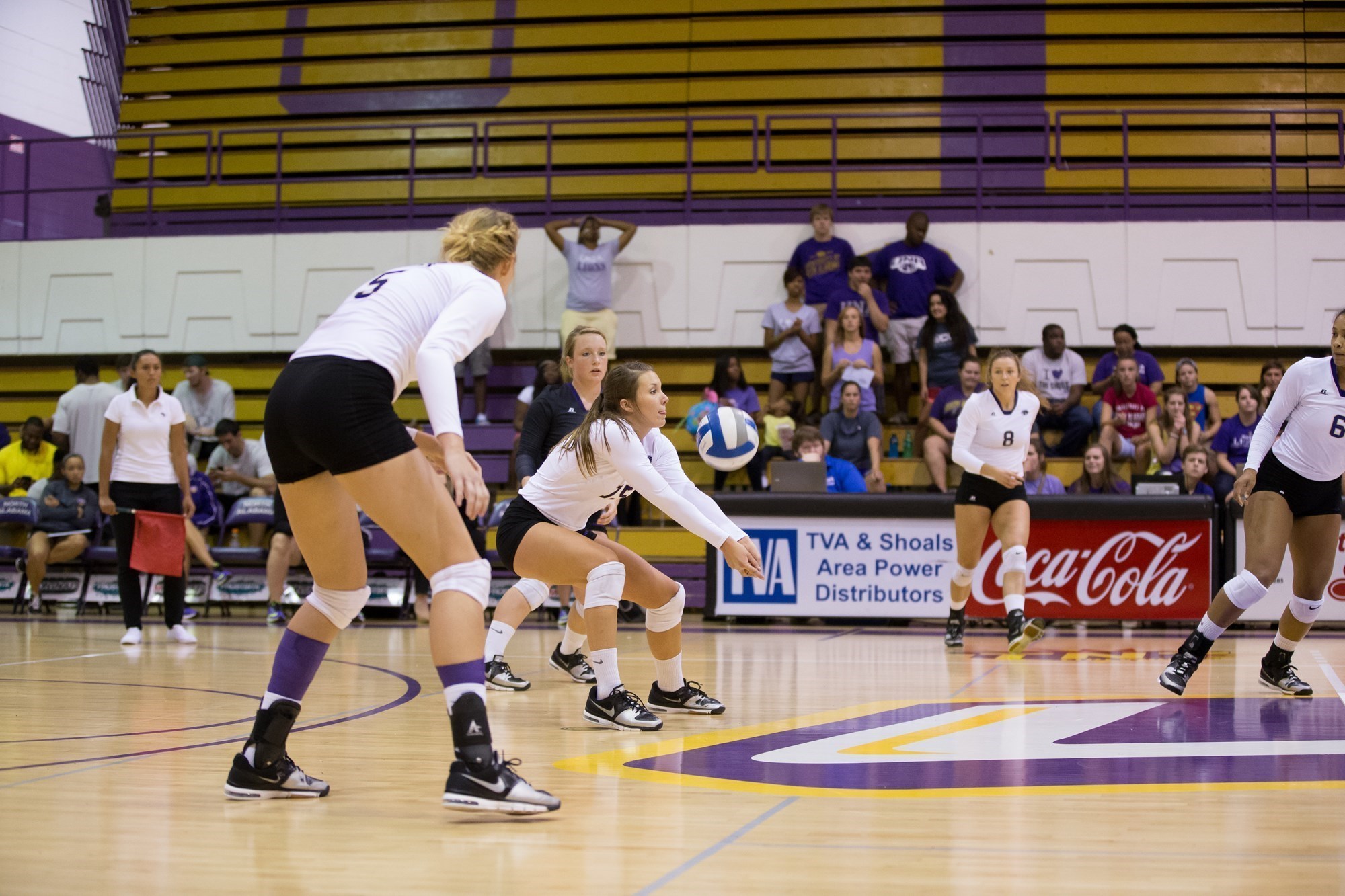 Sarah Ann Tillery - 2016 - Women's Volleyball - University of North ...