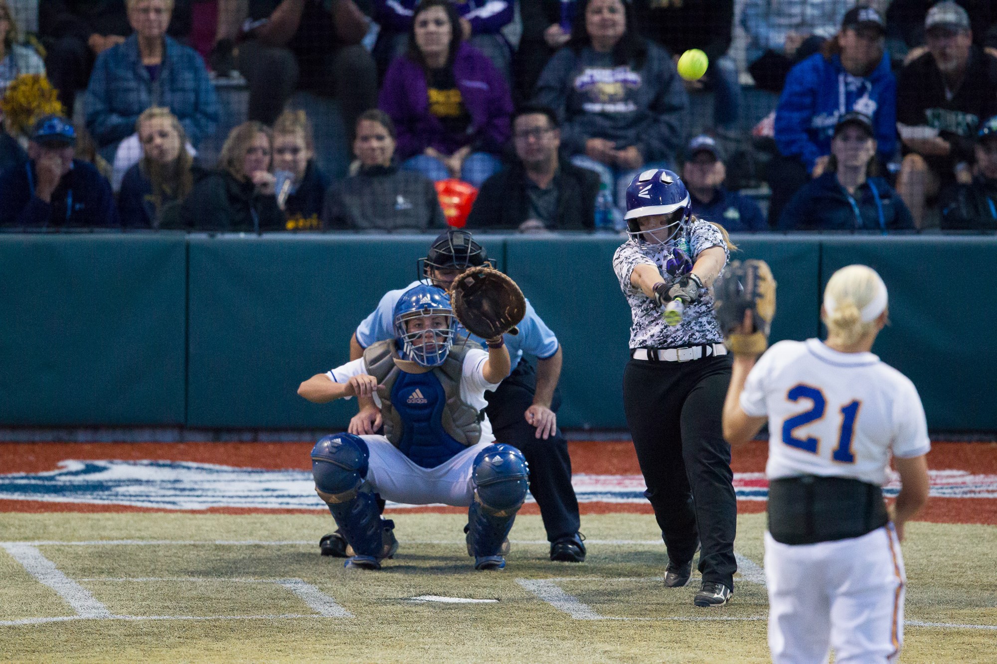 LIONS ADVANCE TO NATIONAL CHAMPIONSHIP SERIES - University of North ...