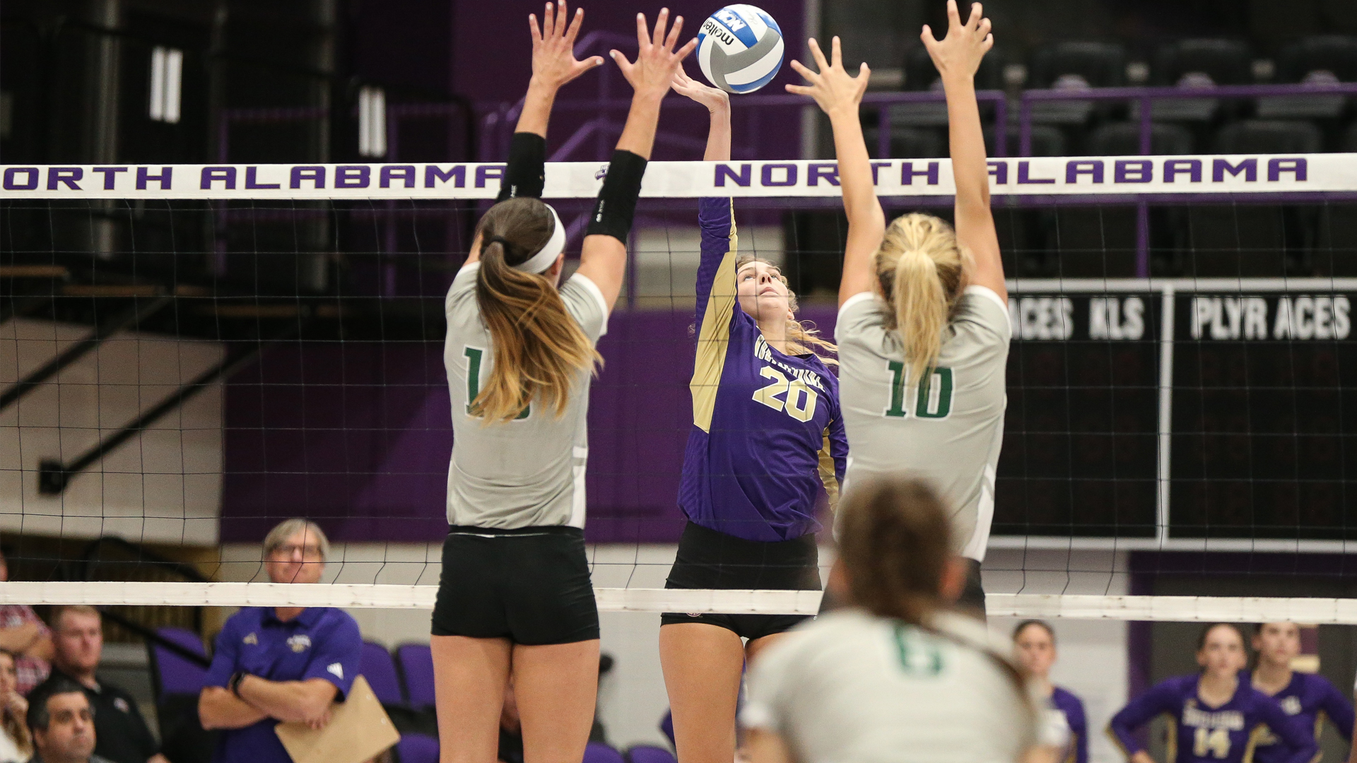 Sarah-Elizabeth Williams - 2020 - Women's Volleyball - University of ...