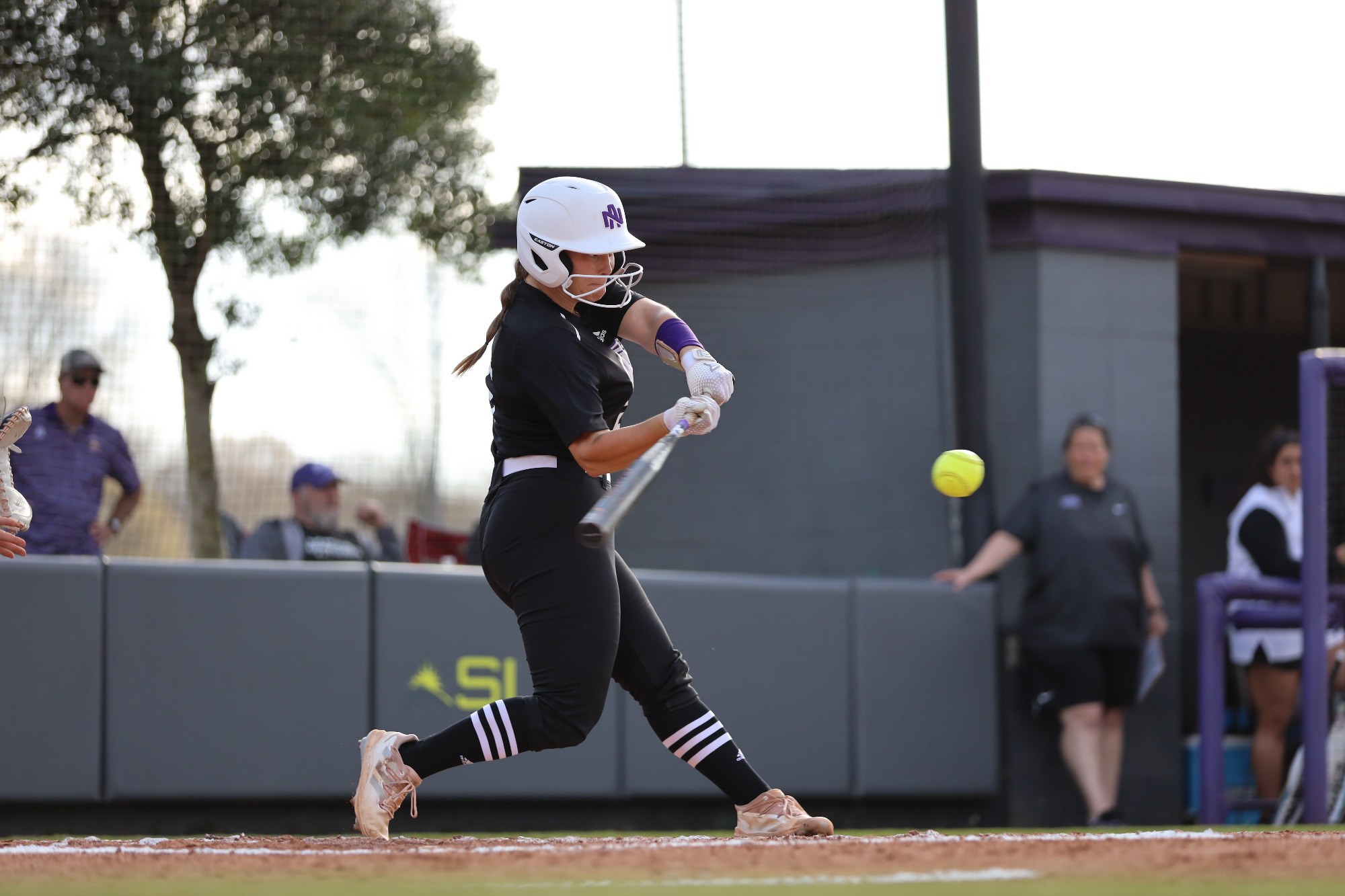 LIONS FALL IN SERIES OPENER TO UCA - University of North Alabama Athletics