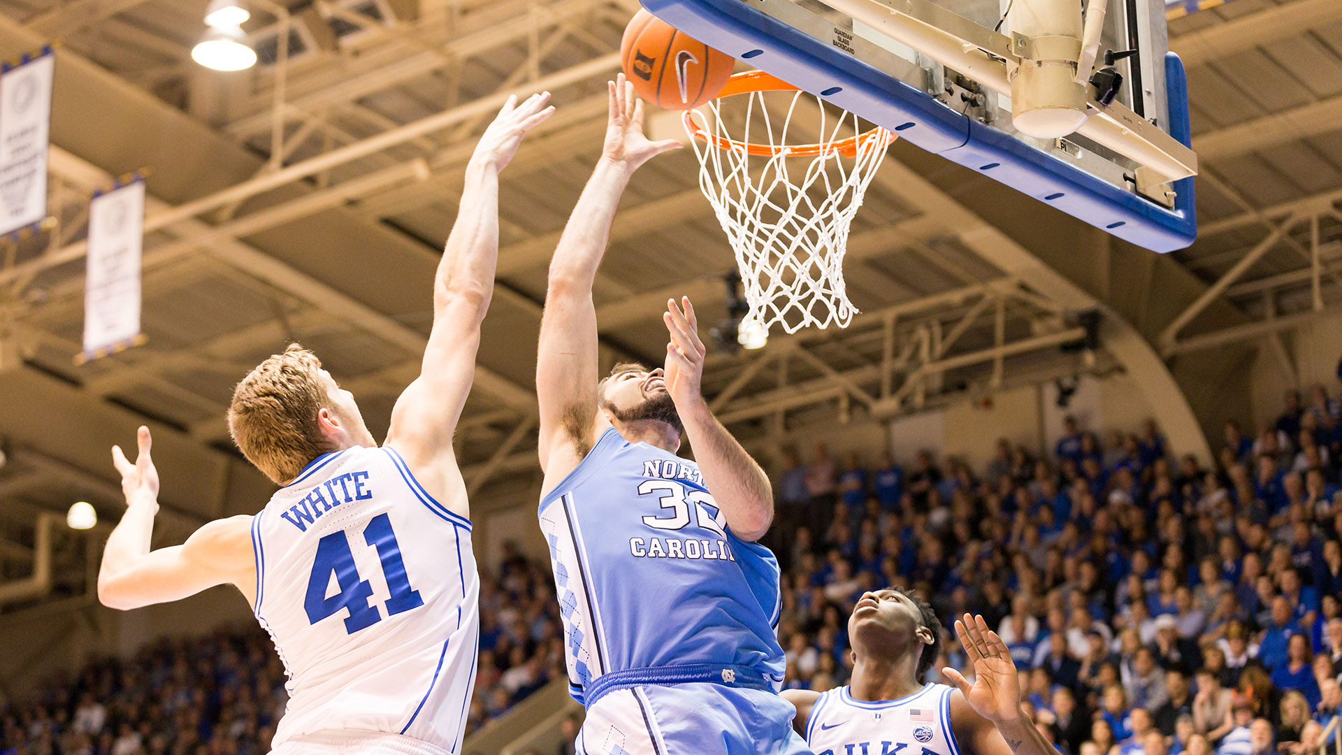 Luke Maye - Men's Basketball - University of North Carolina Athletics