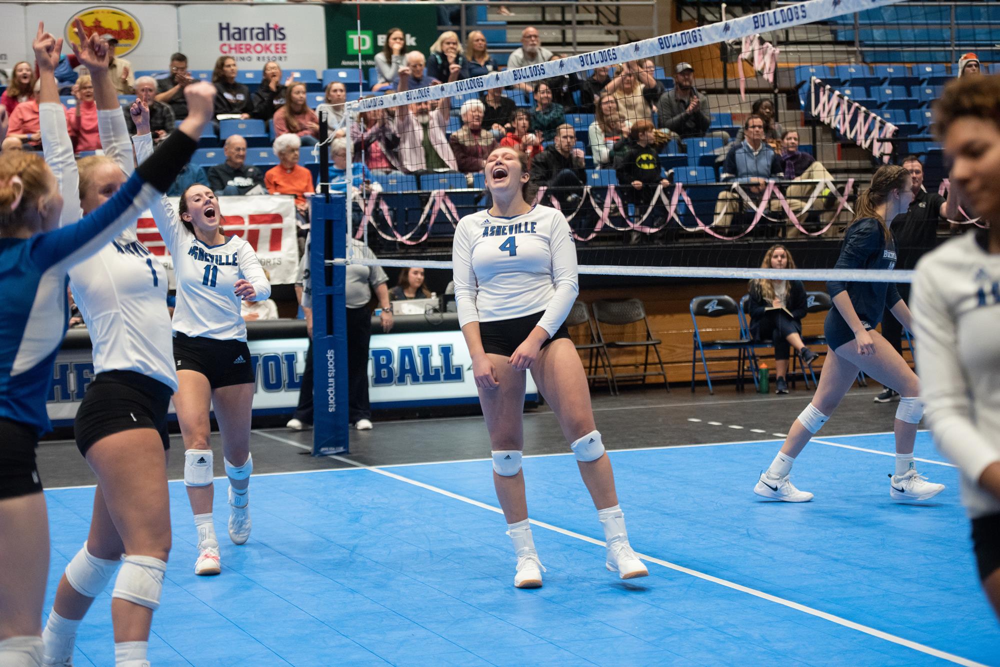 Cecilia Stack - Women's Volleyball - UNC Asheville Athletics