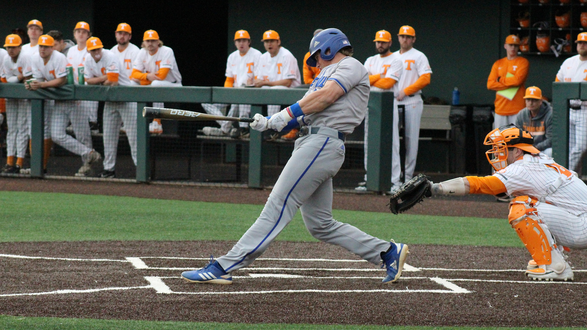 Jake Madole - Baseball - UNC Asheville Athletics