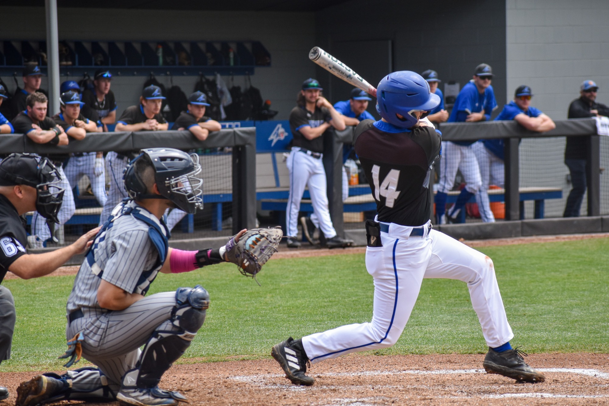 Kohl Abrams - Baseball - UNC Asheville Athletics
