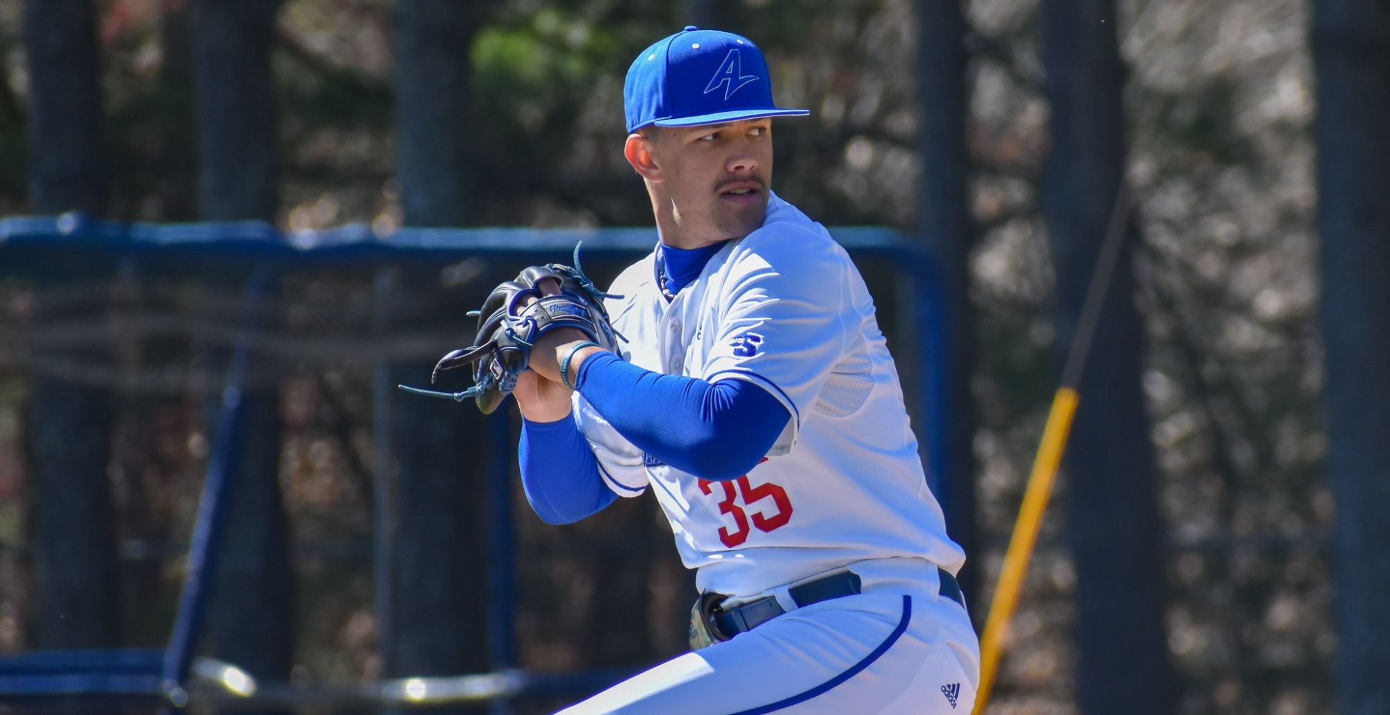 Justin Needles - Baseball - UNC Asheville Athletics