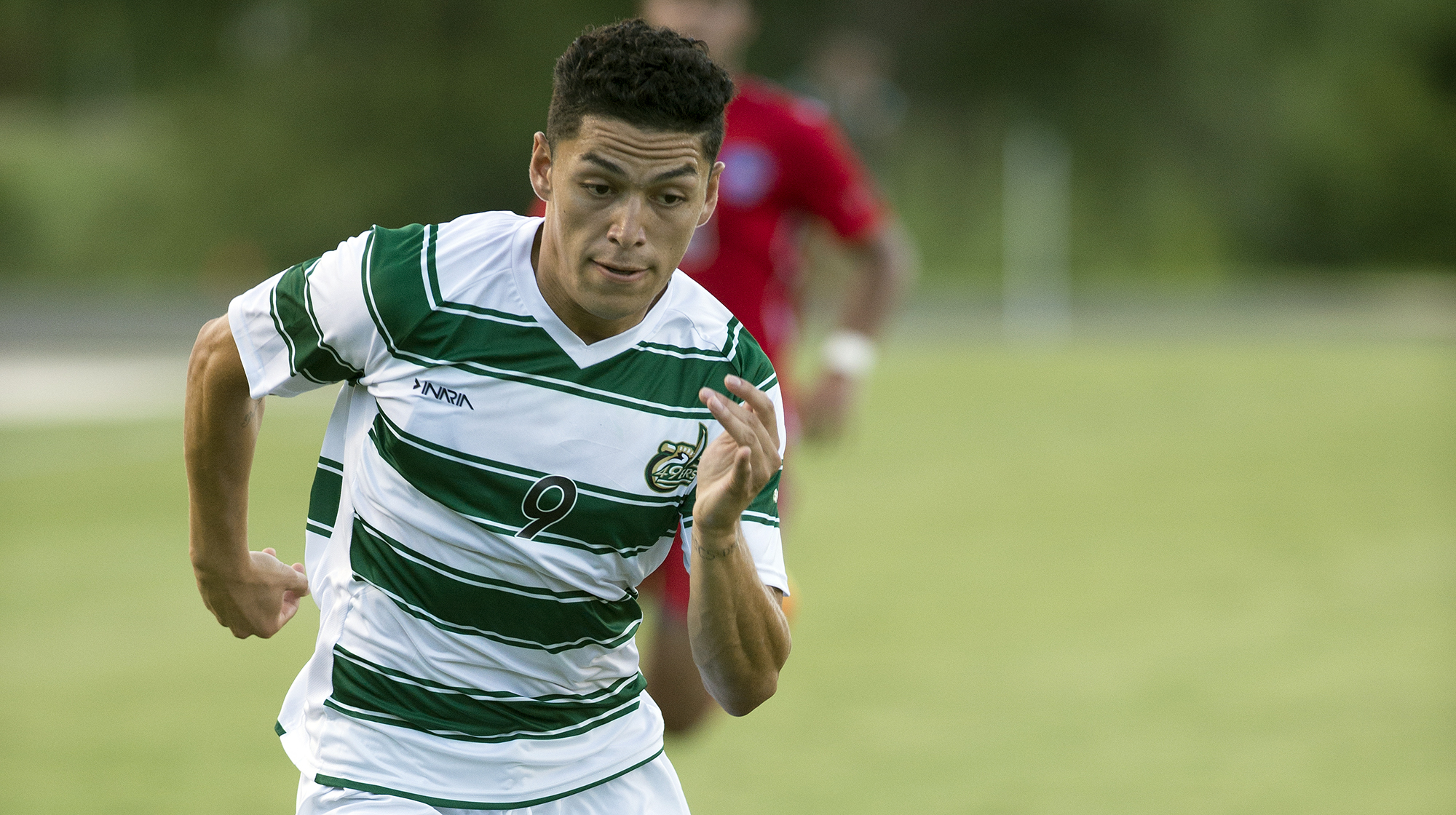 Marco Sunol-Rojas - Men's Soccer - Charlotte Athletics