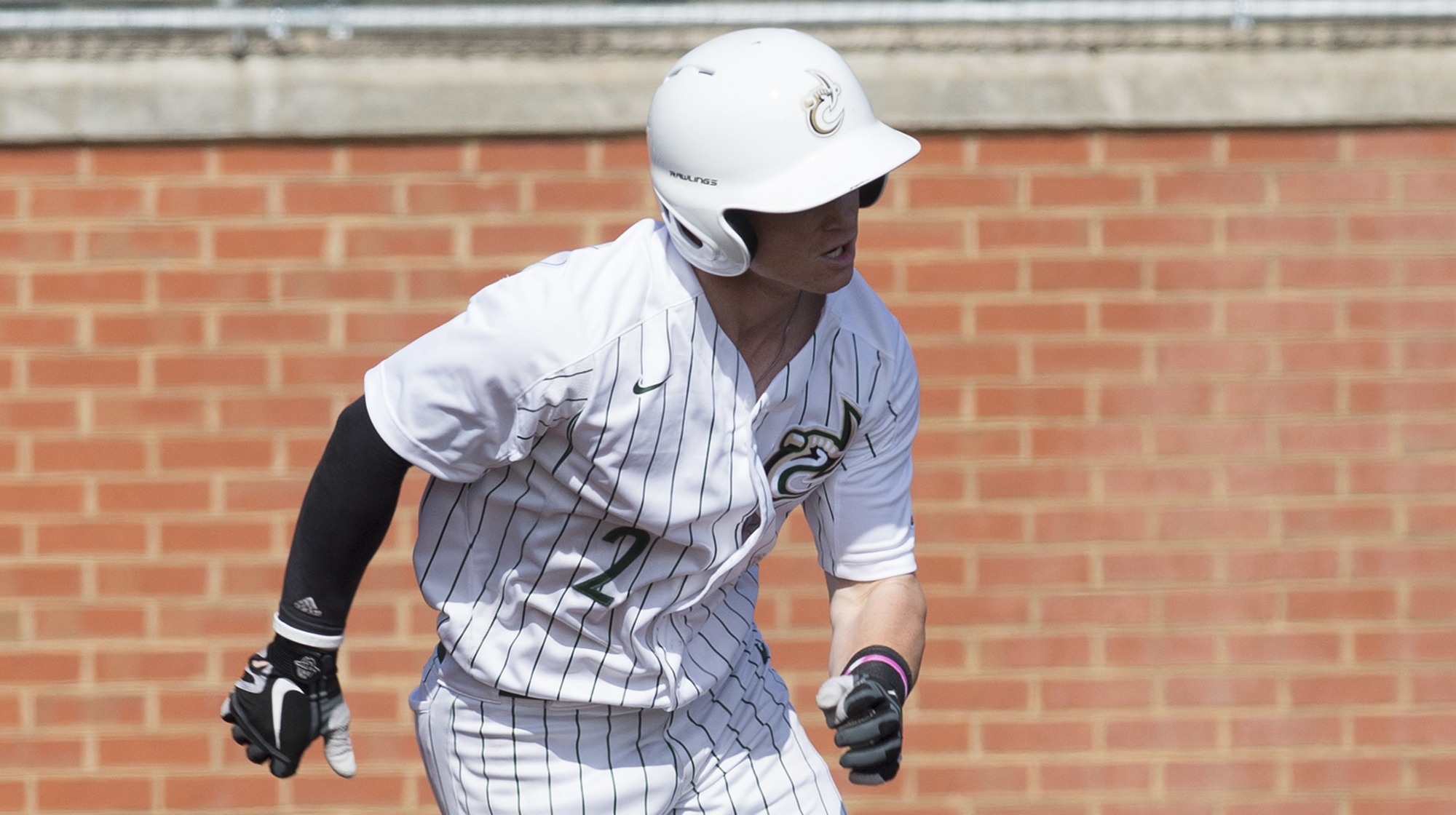Carson Johnson - Baseball - Charlotte Athletics