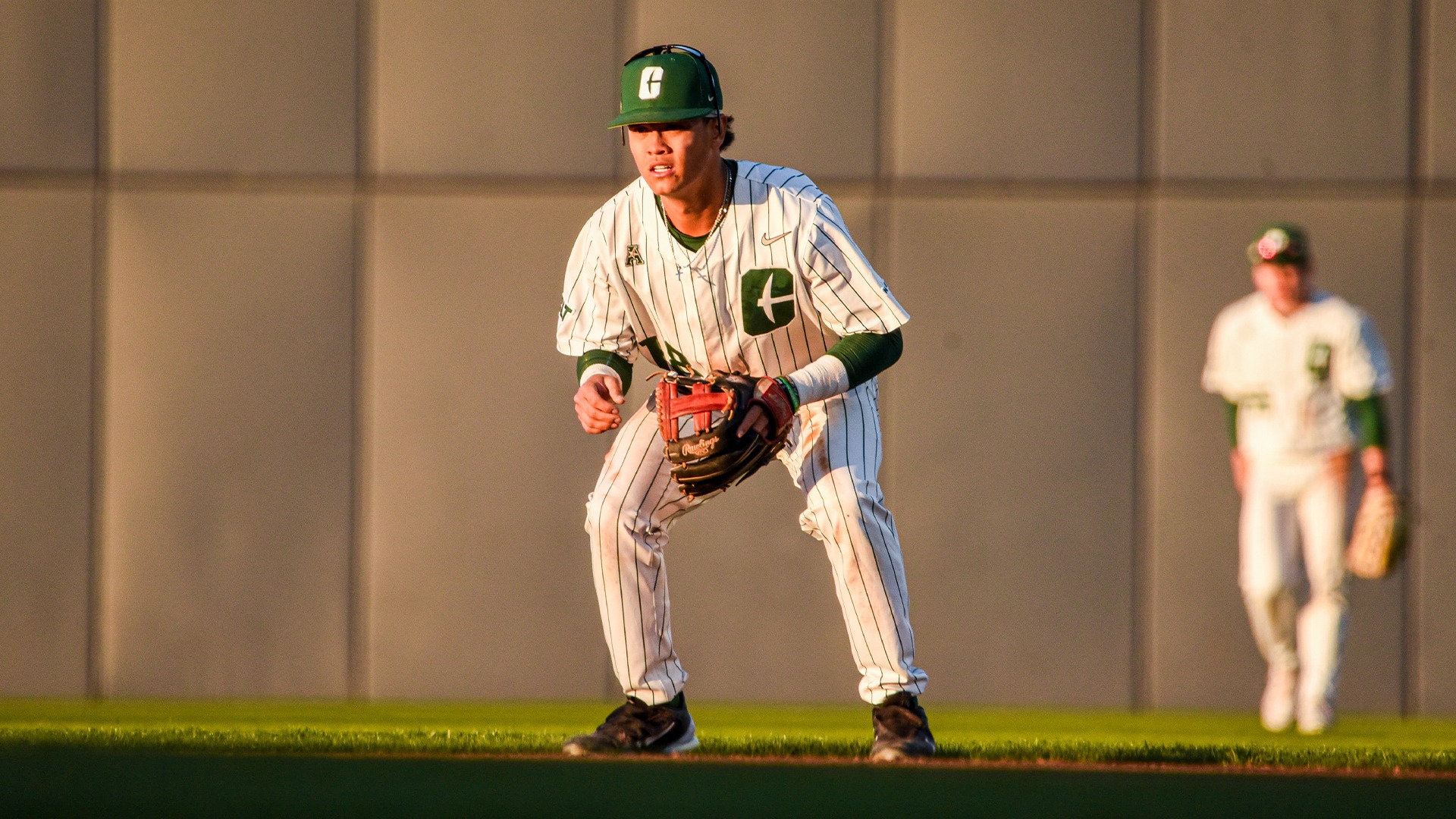 Shane Taylor - Baseball - Charlotte Athletics