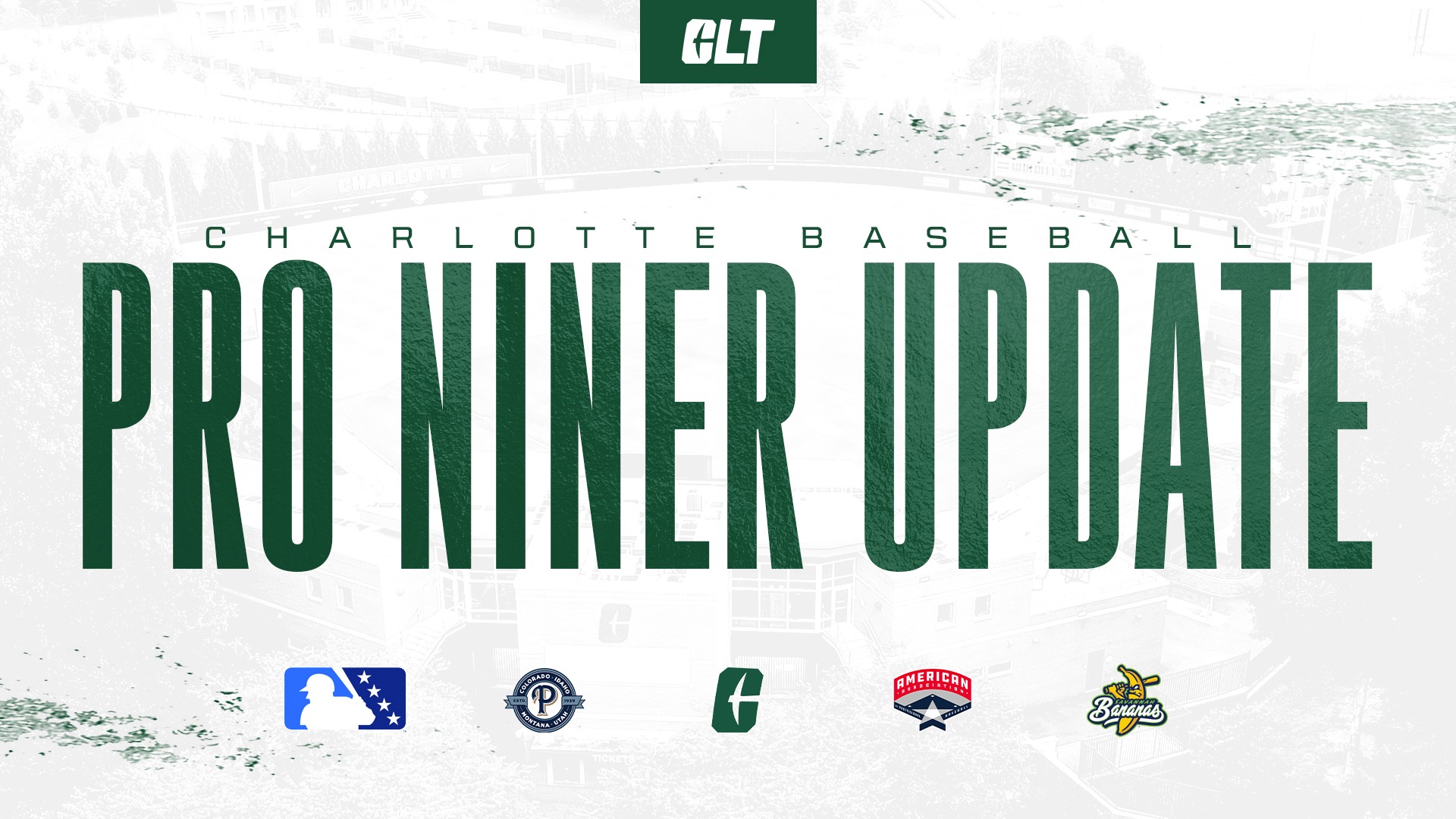Baseball Pro Niners Update: August - Charlotte Athletics