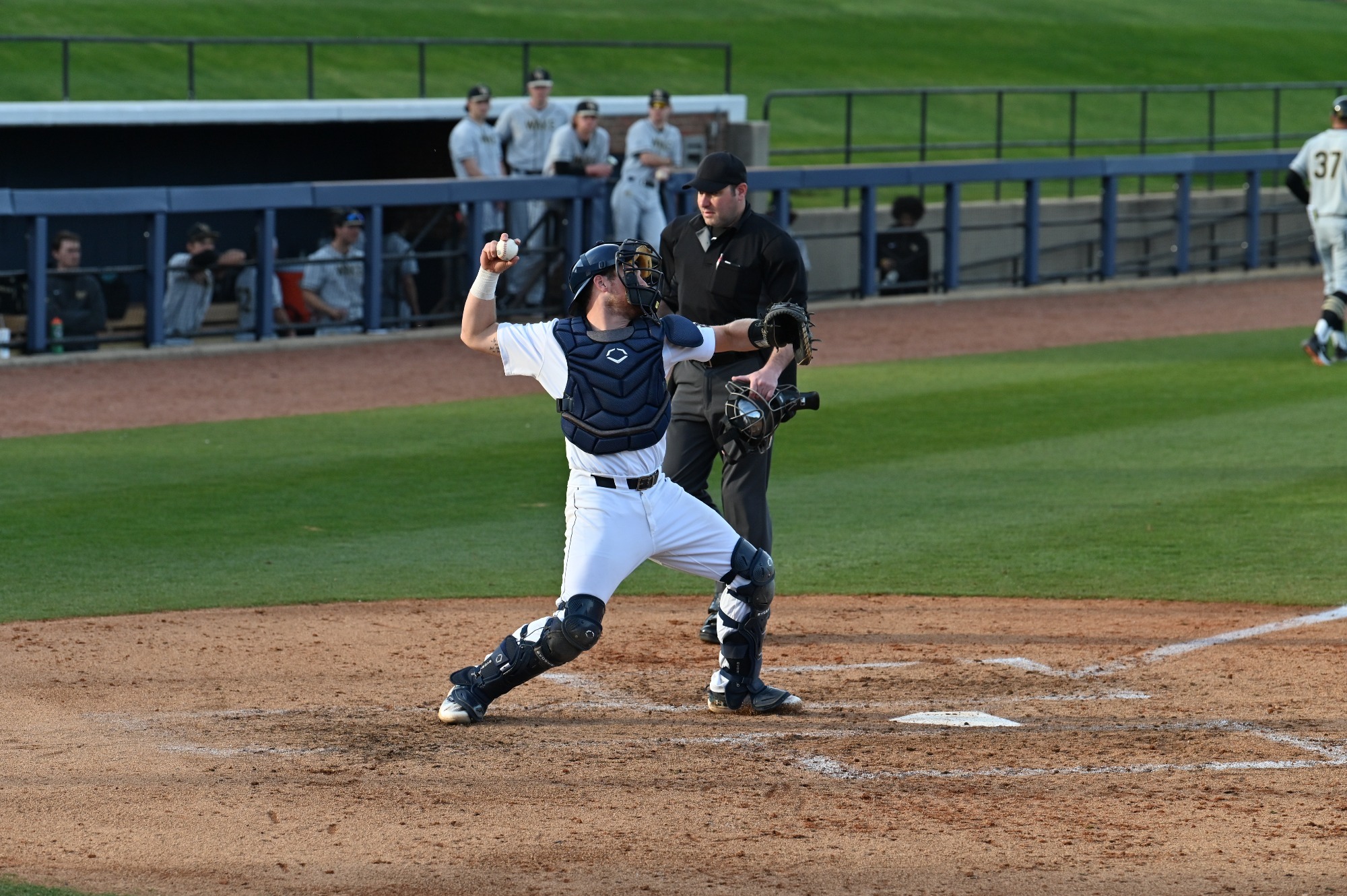 Dallas Callahan - 2023 - Baseball - UNC Greensboro