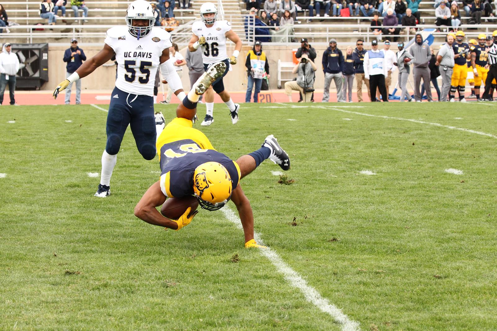 Alex Wesley - 2018 - Football - University of Northern Colorado Athletics