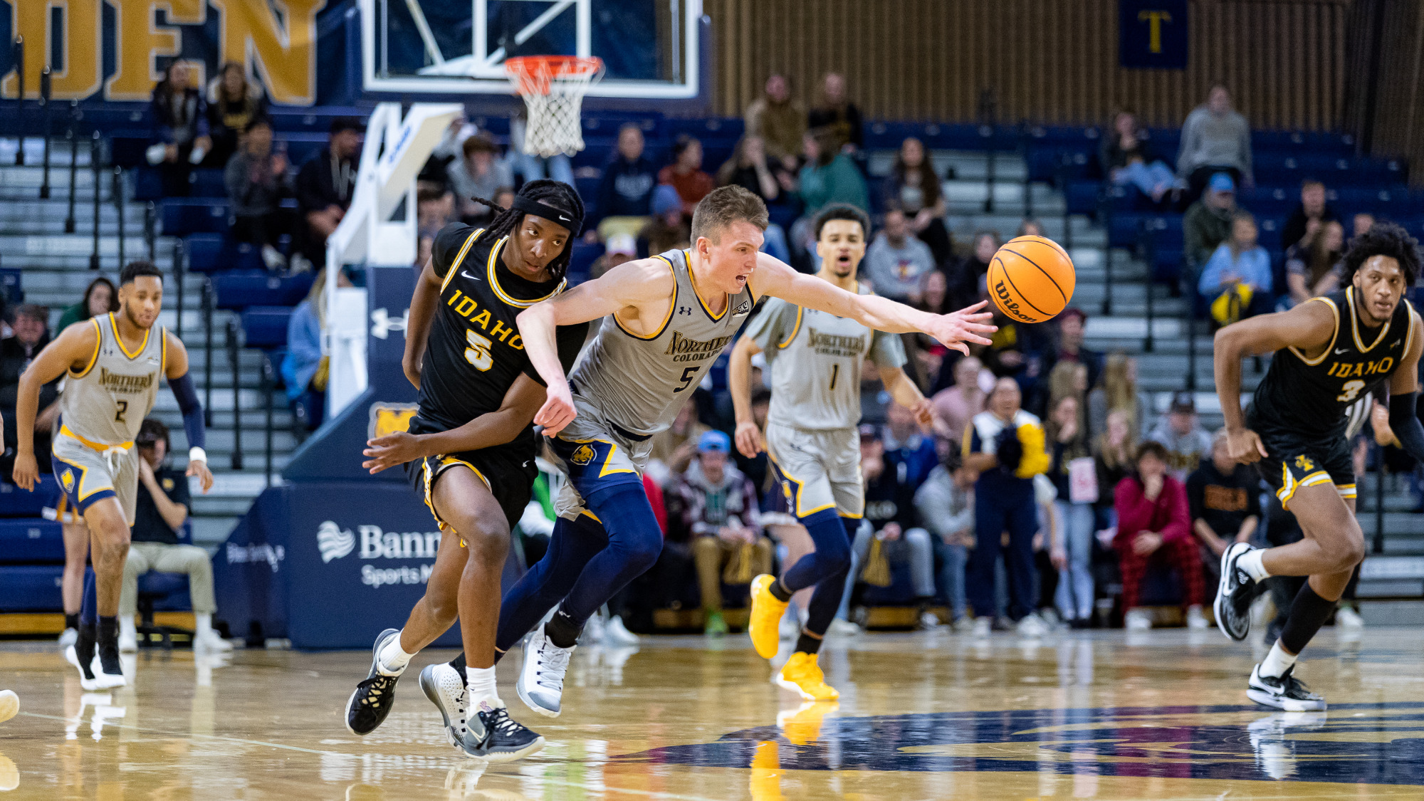 Dalton Knecht - 2022-23 - Men's Basketball - University of Northern ...