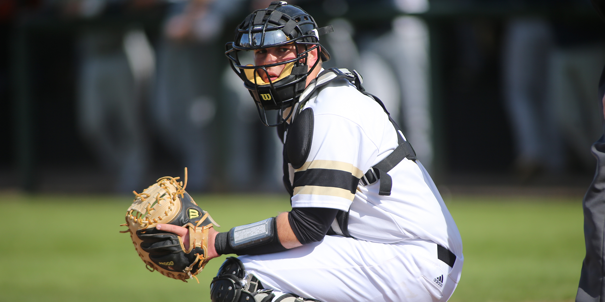 Alex Simpson - Baseball - UNCP Athletics