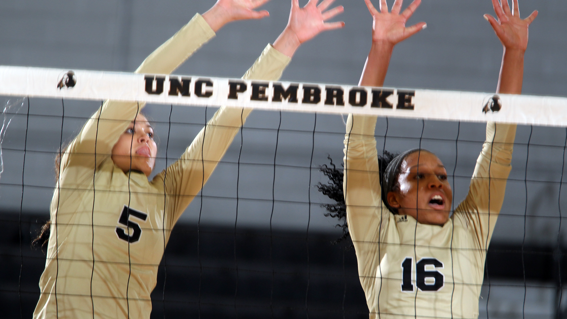 Brianna Warren - Volleyball - UNCP Athletics